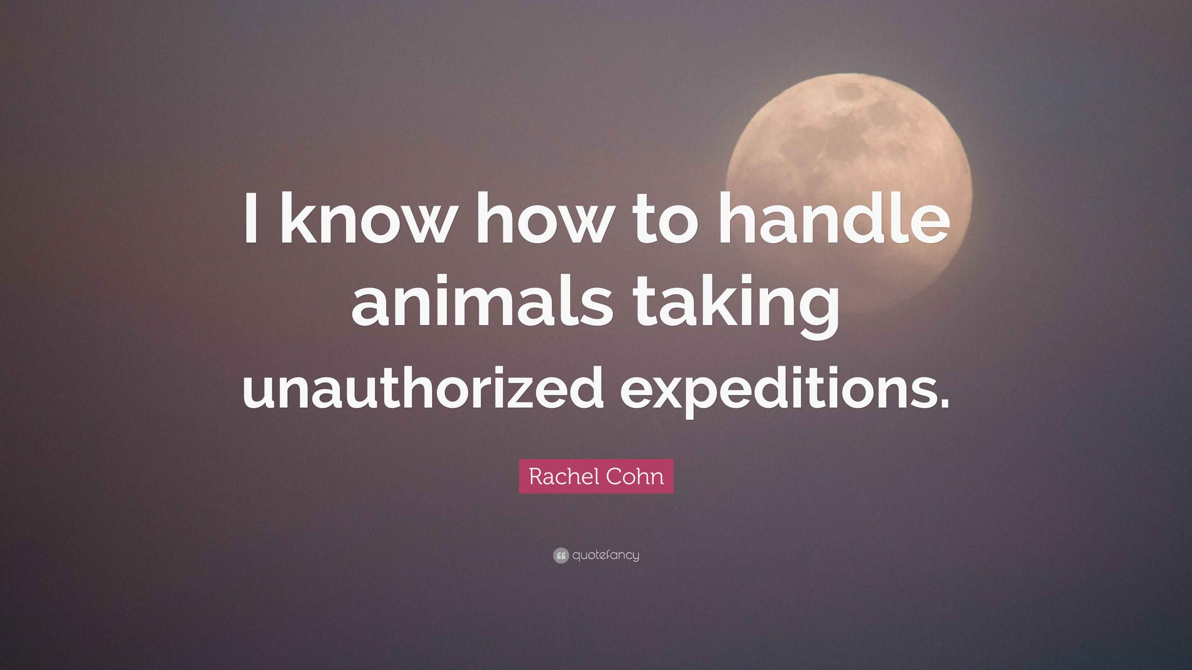 Rachel Cohn Quote: “I know how to handle animals taking unauthorized ...