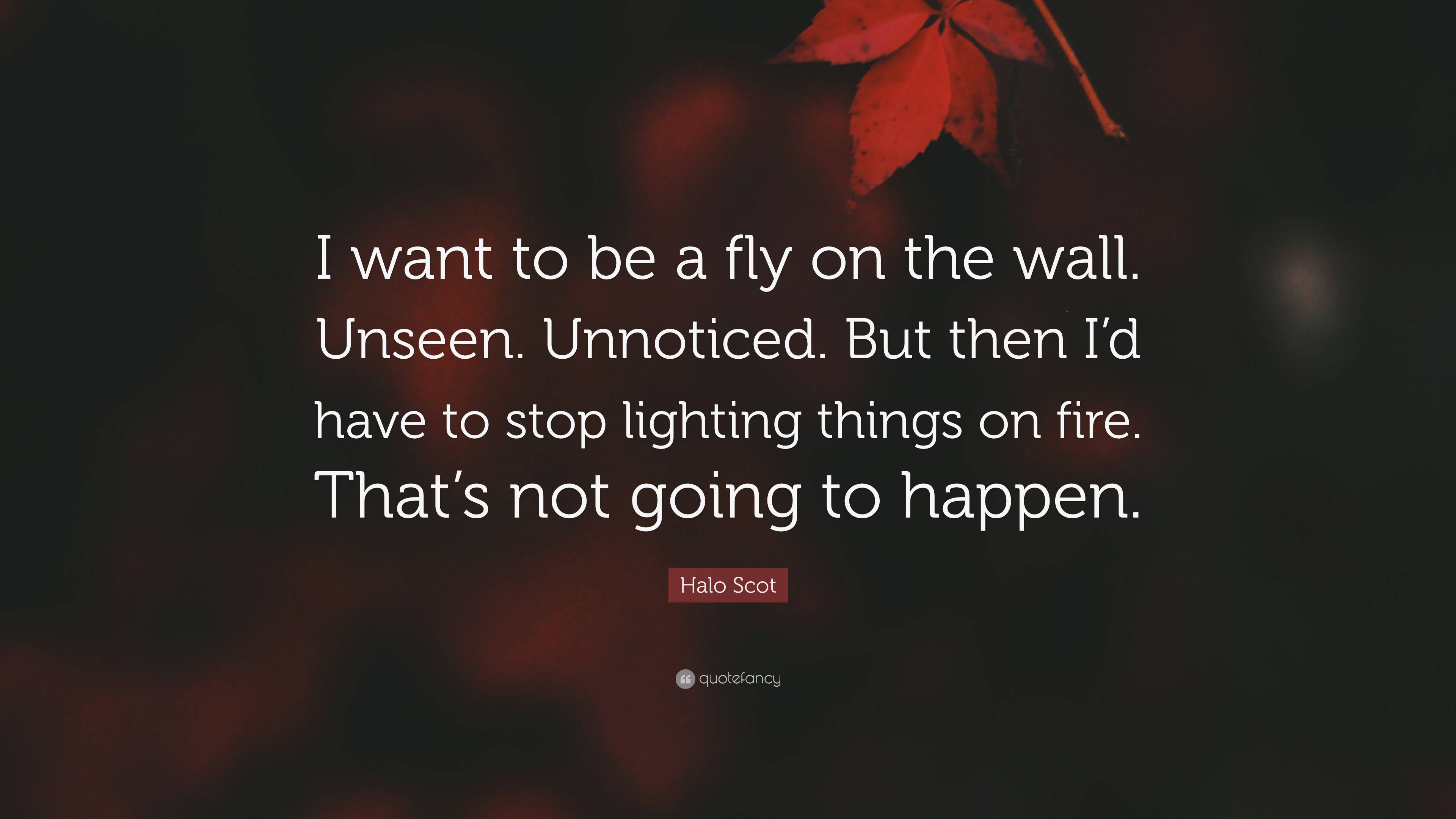 Halo Scot Quote: “I want to be a fly on the wall. Unseen. Unnoticed ...