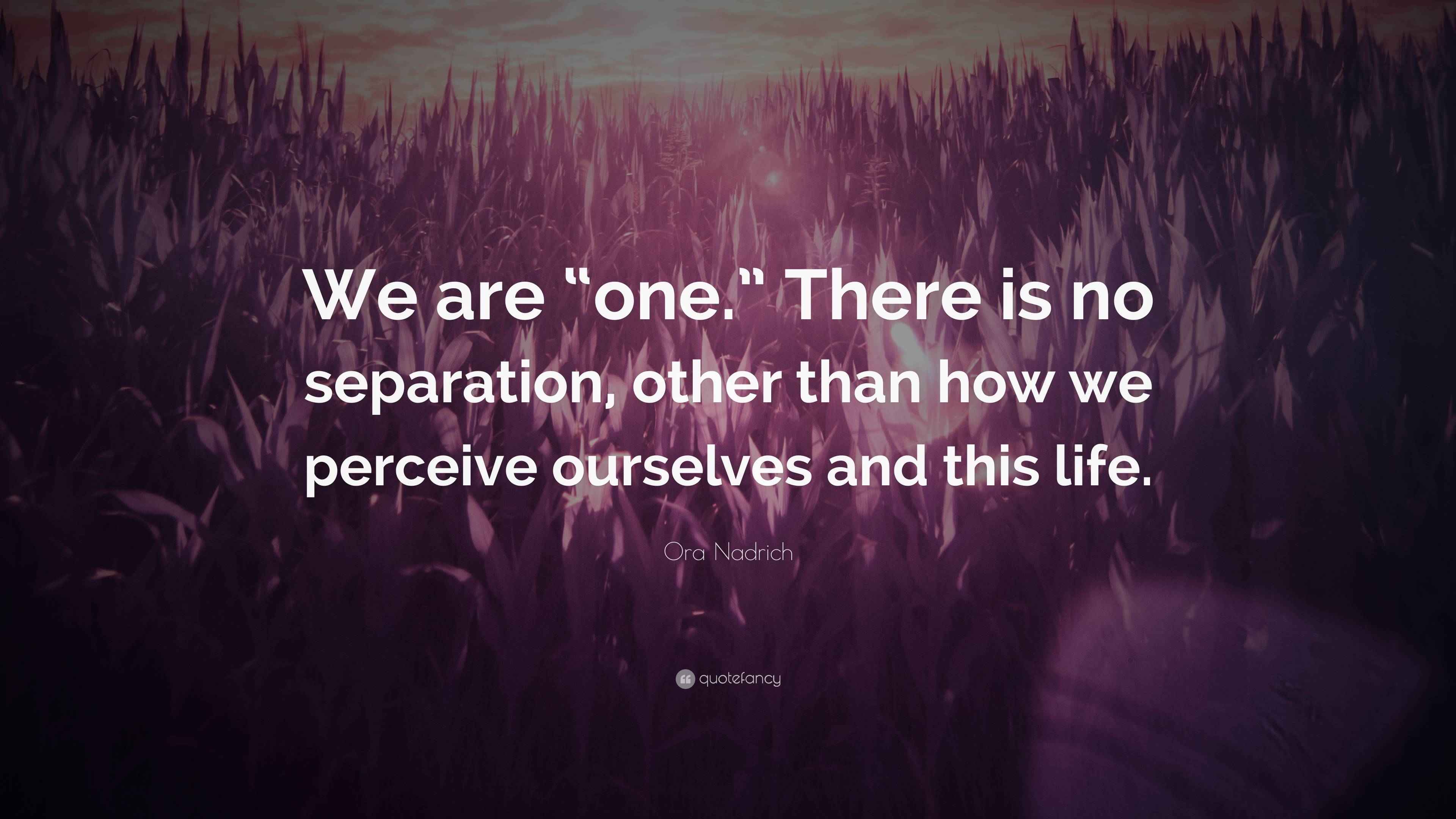 Ora Nadrich Quote: “We are “one.” There is no separation, other than ...
