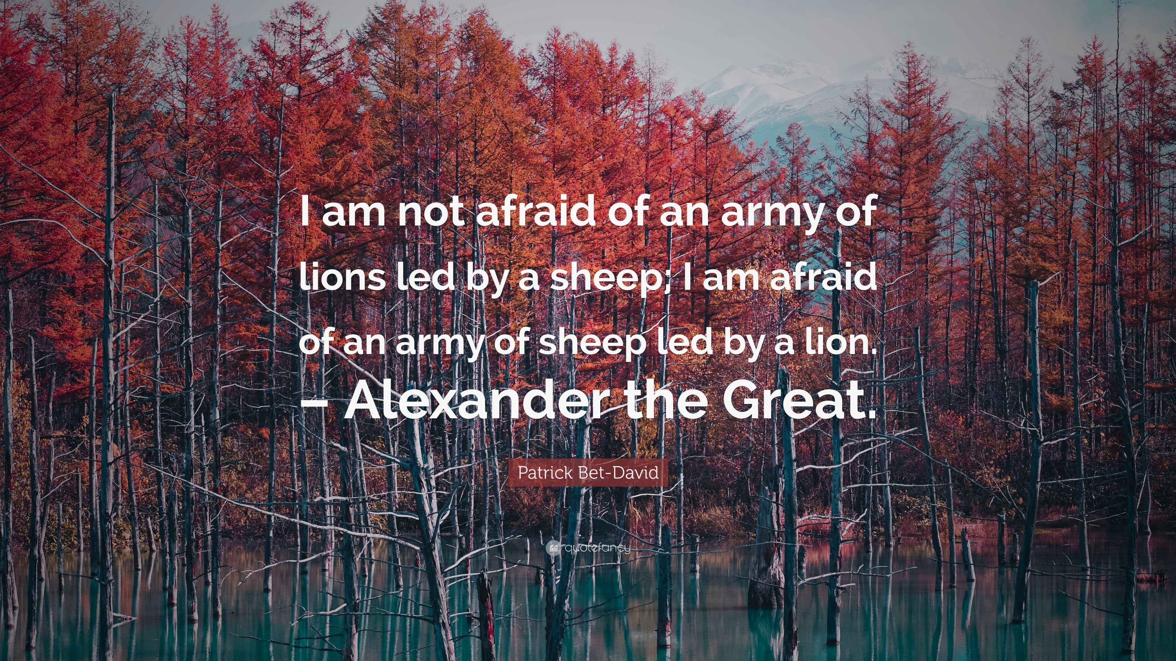 Patrick Bet-David Quote: “I am not afraid of an army of lions led by a ...