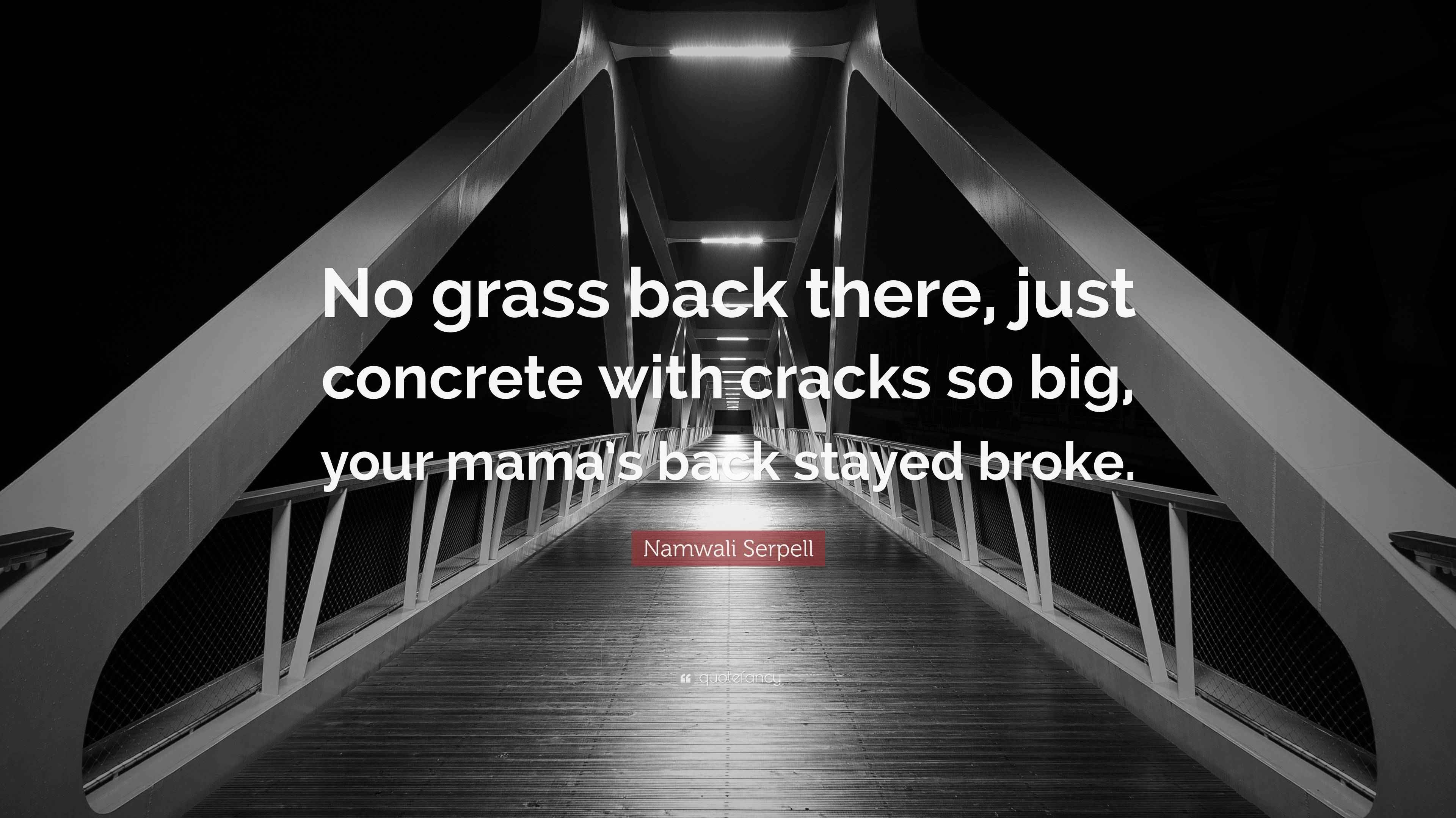 Namwali Serpell Quote: “No grass back there, just concrete with cracks ...