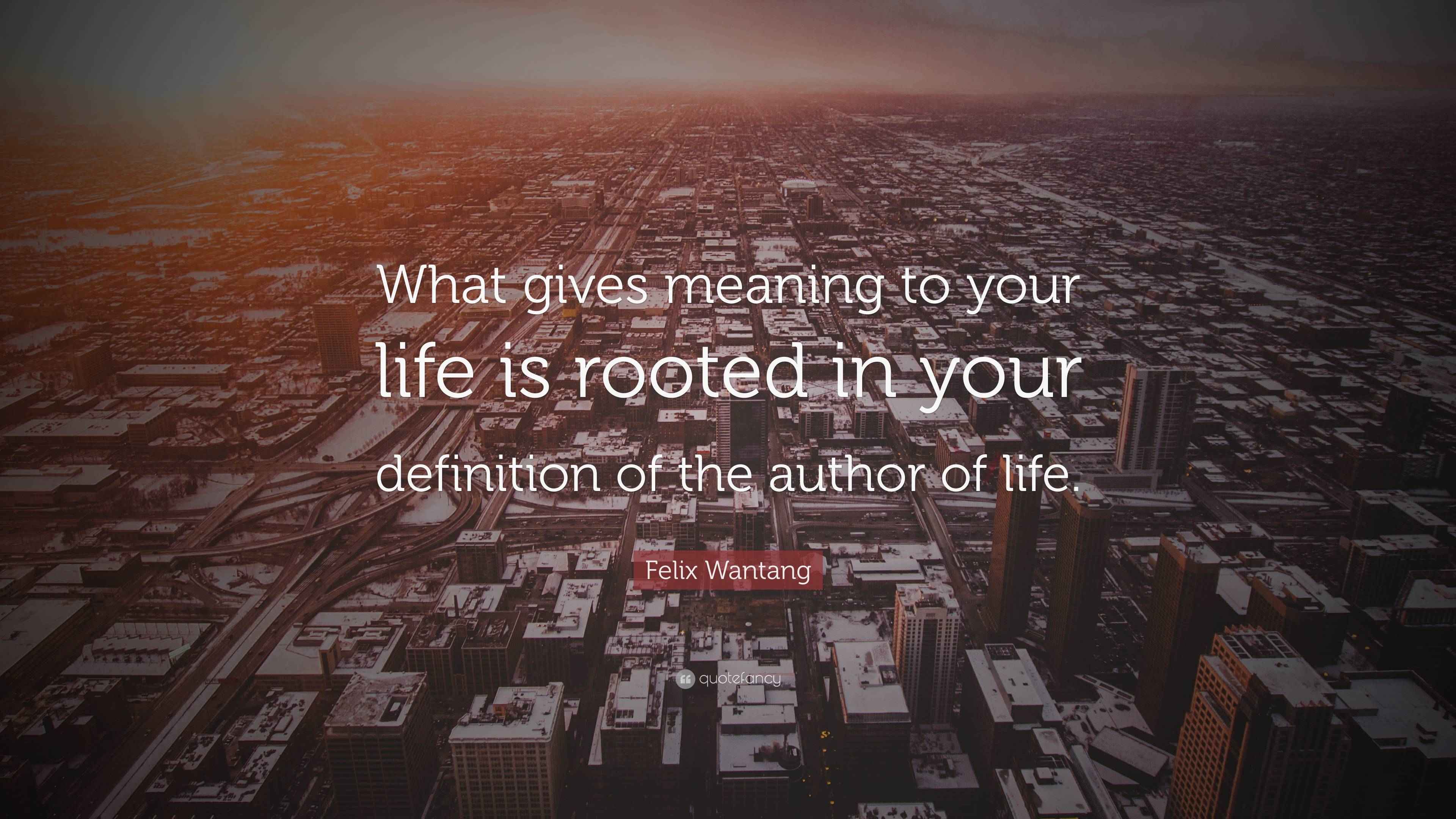 Felix Wantang Quote: “What gives meaning to your life is rooted in your ...