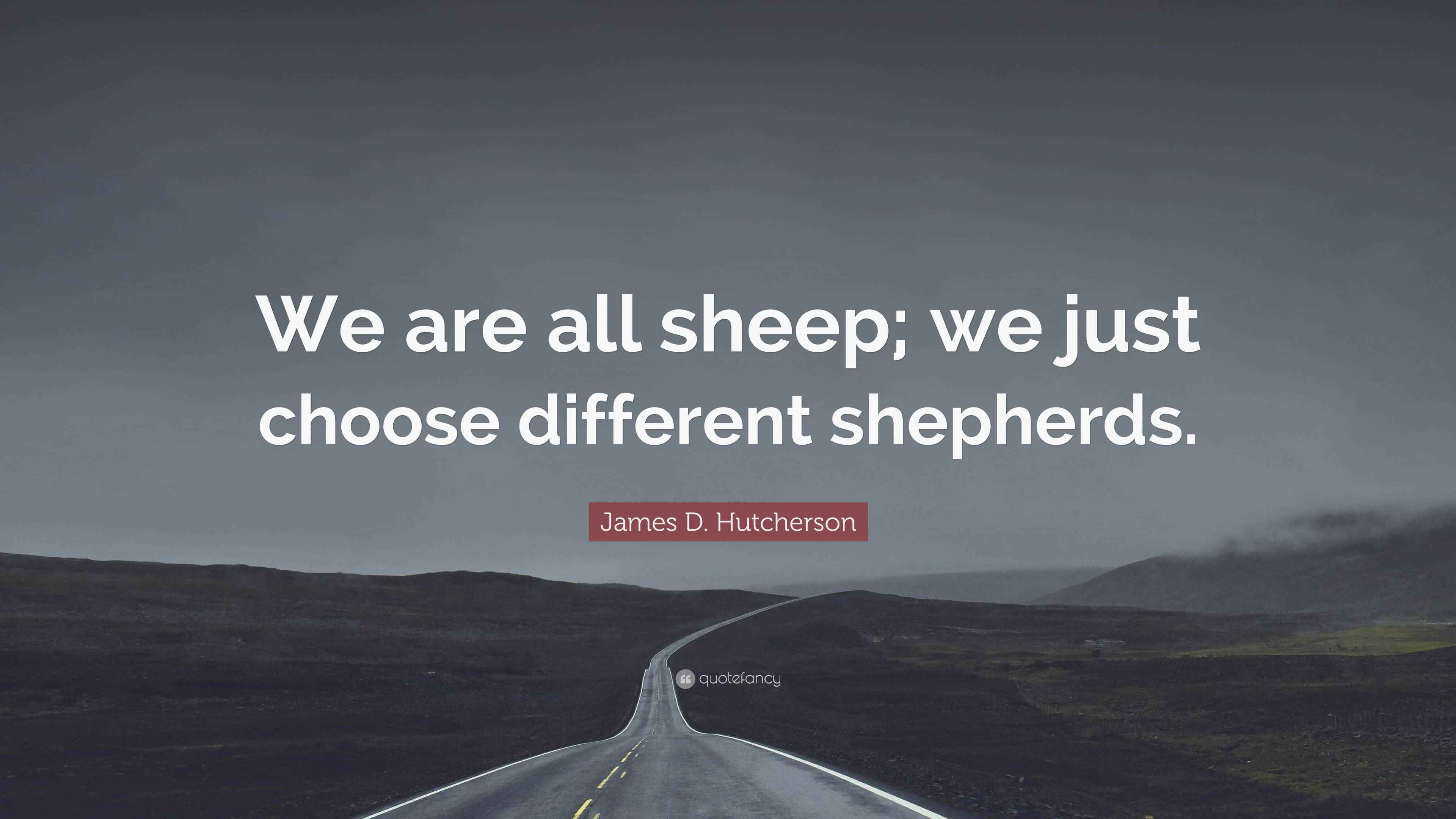 James D. Hutcherson Quote: “We are all sheep; we just choose different ...