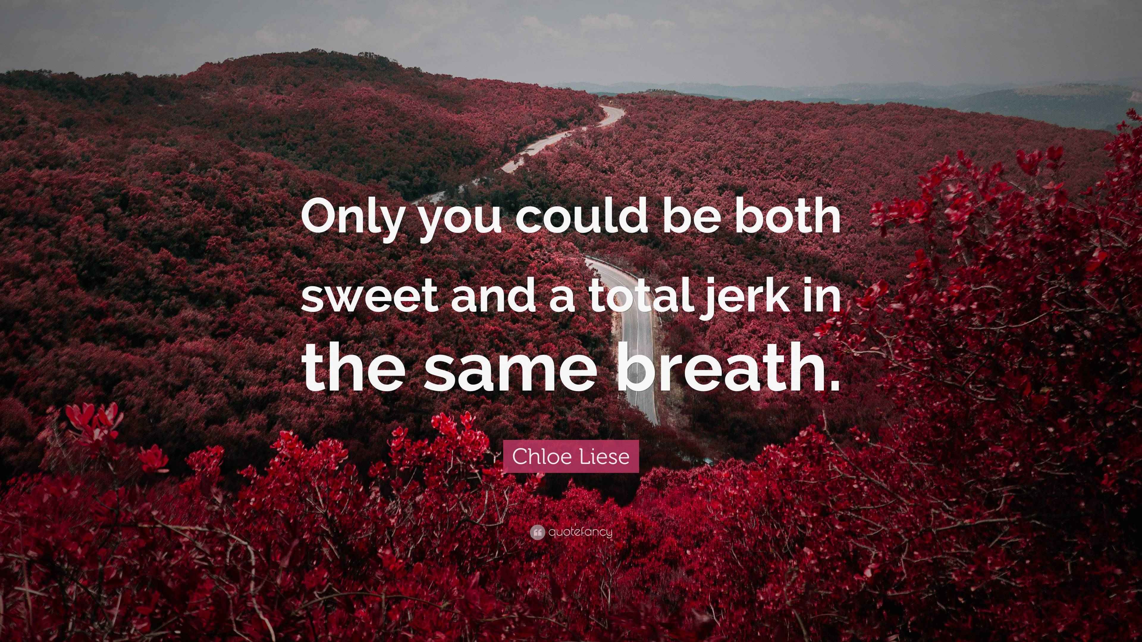 Chloe Liese Quote: “Only you could be both sweet and a total jerk in ...