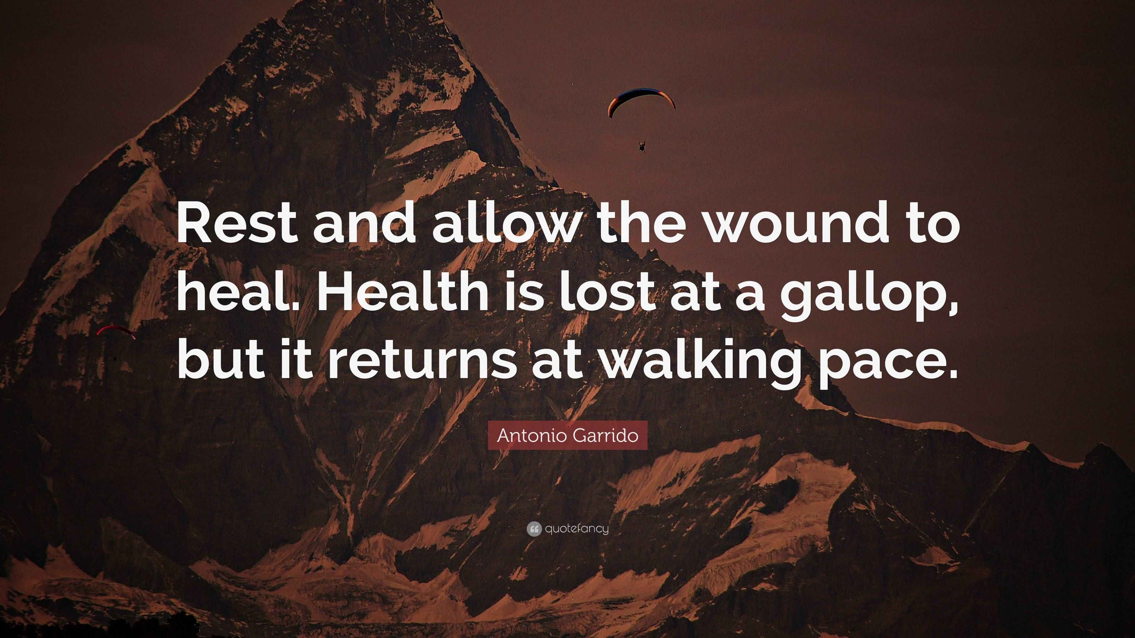 Antonio Garrido Quote: “Rest and allow the wound to heal. Health is ...