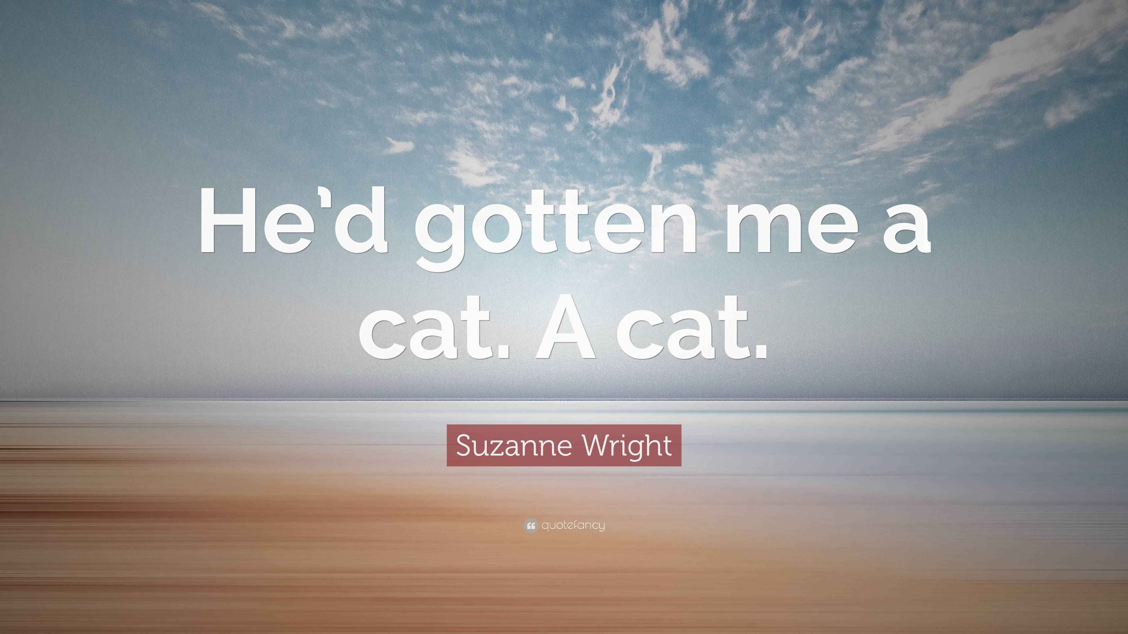 Suzanne Wright Quote: “He’d gotten me a cat. A cat.”