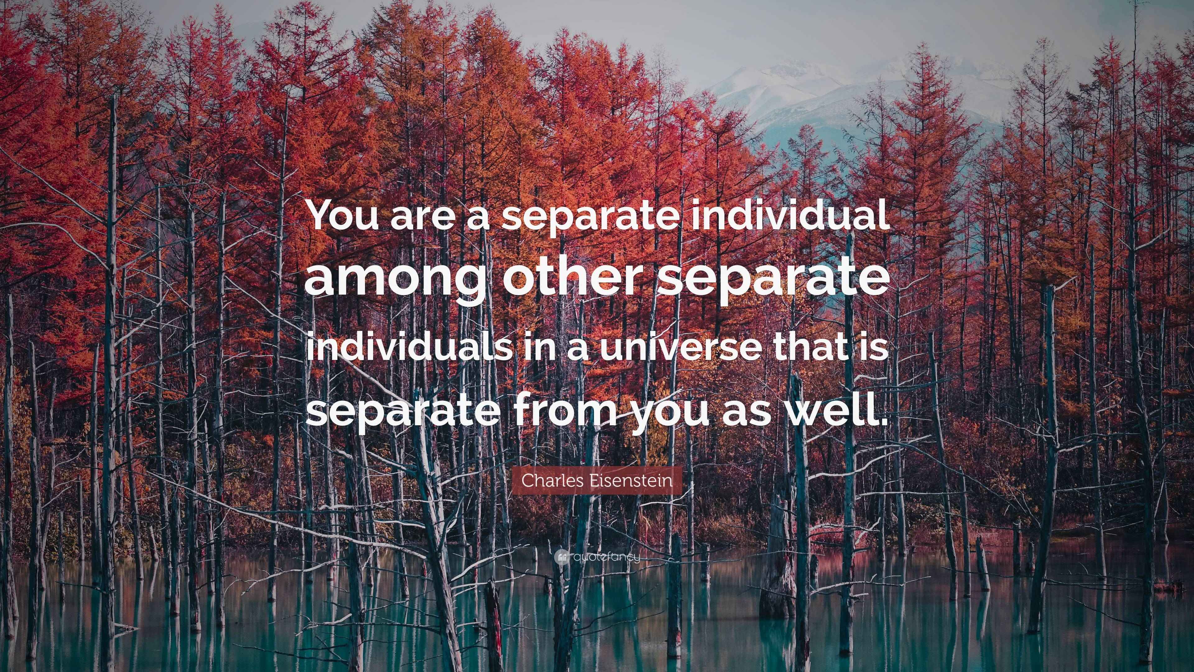 Charles Eisenstein Quote: “You are a separate individual among other ...
