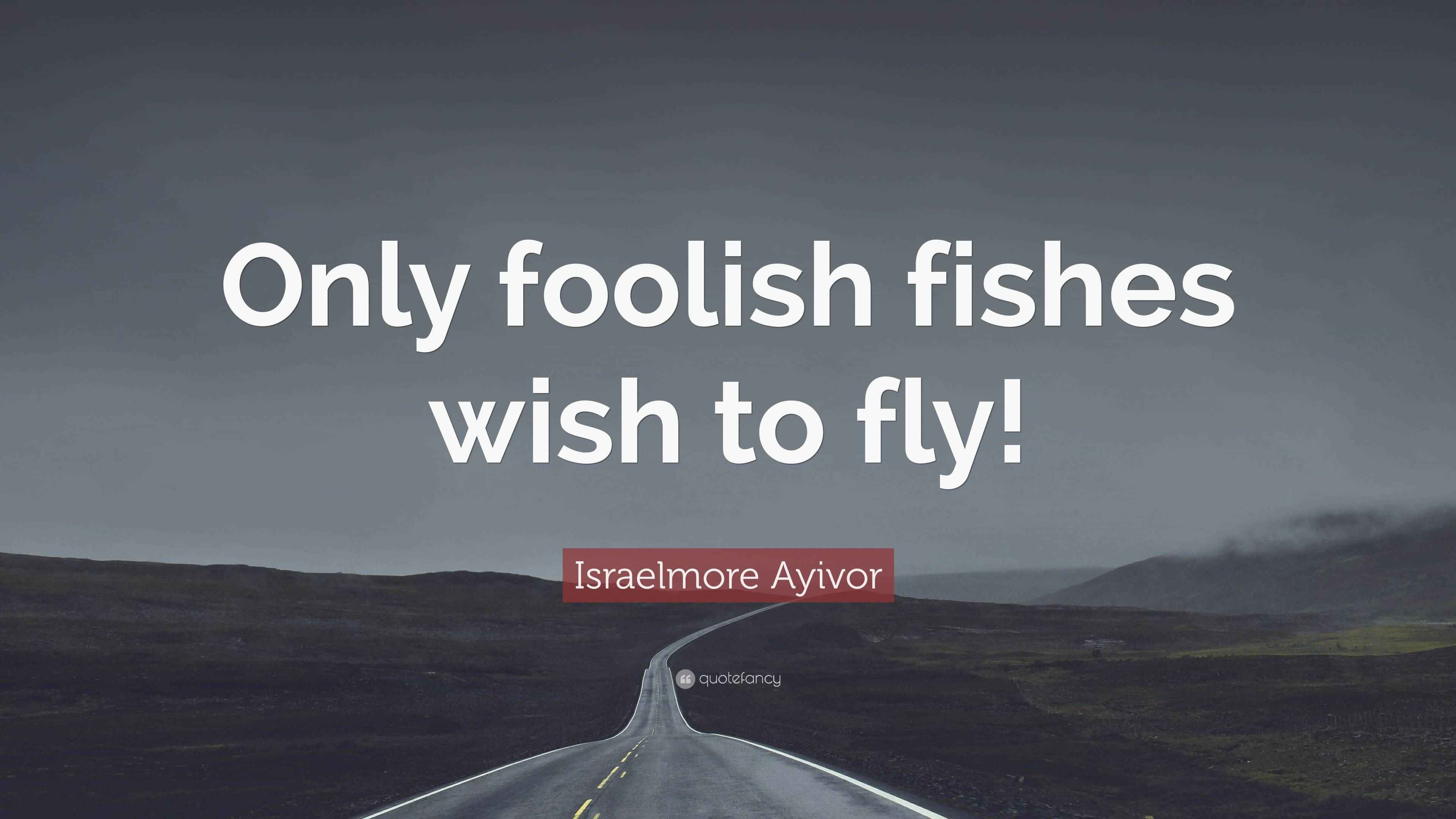 Israelmore Ayivor Quote: “Only foolish fishes wish to fly!”