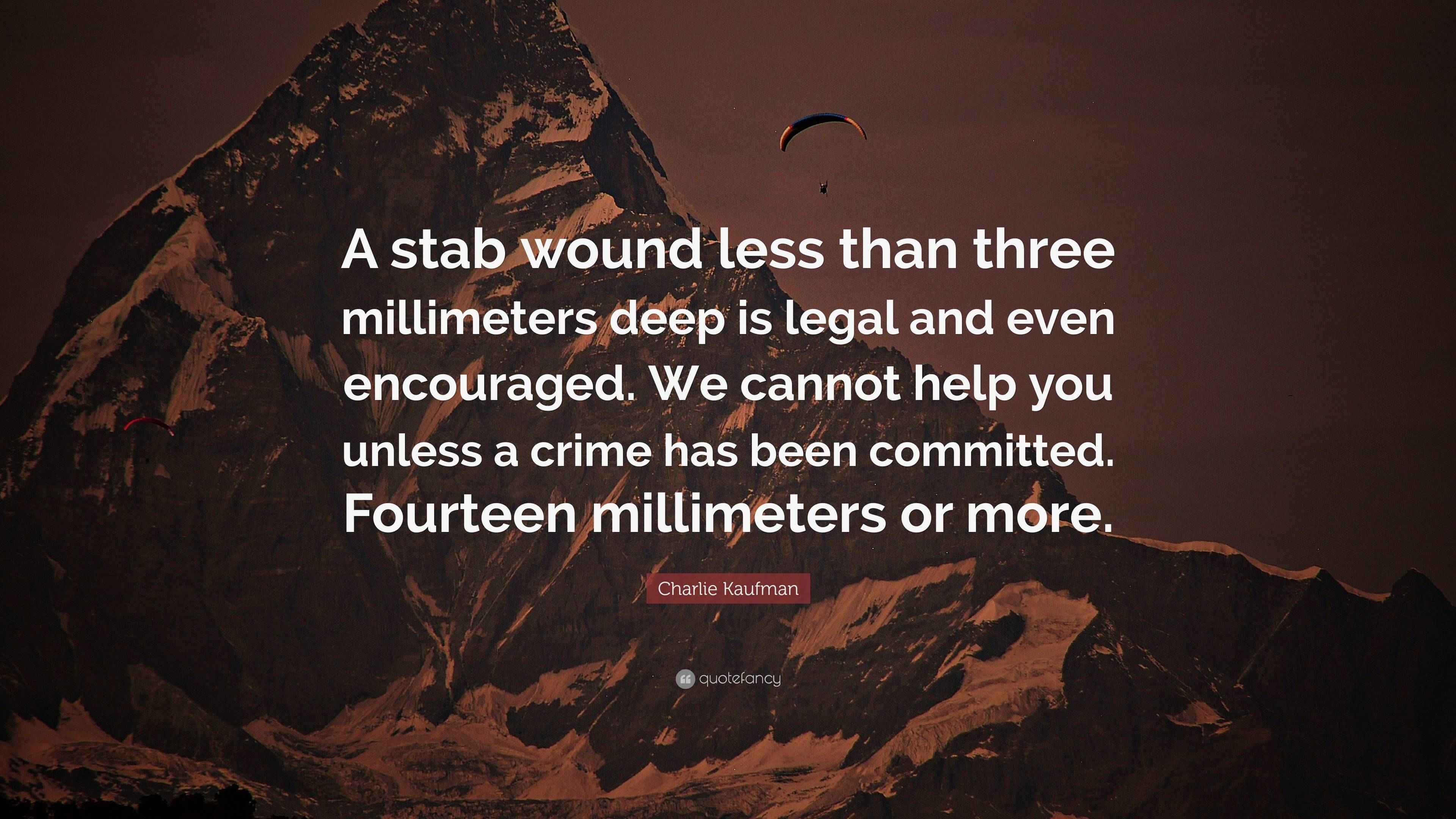 Charlie Kaufman Quote: “A stab wound less than three millimeters deep ...