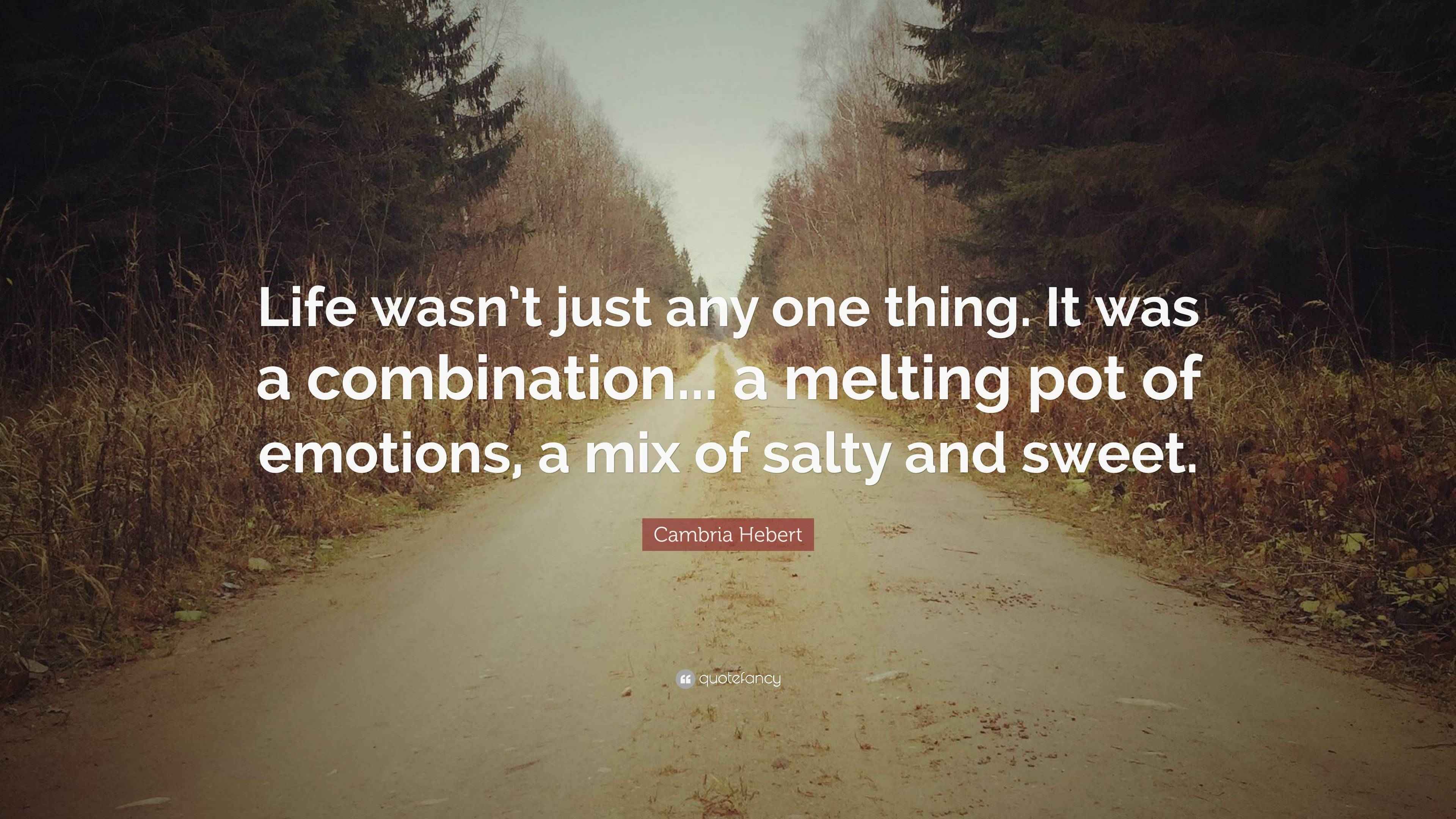 Cambria Hebert Quote: “Life wasn’t just any one thing. It was a ...