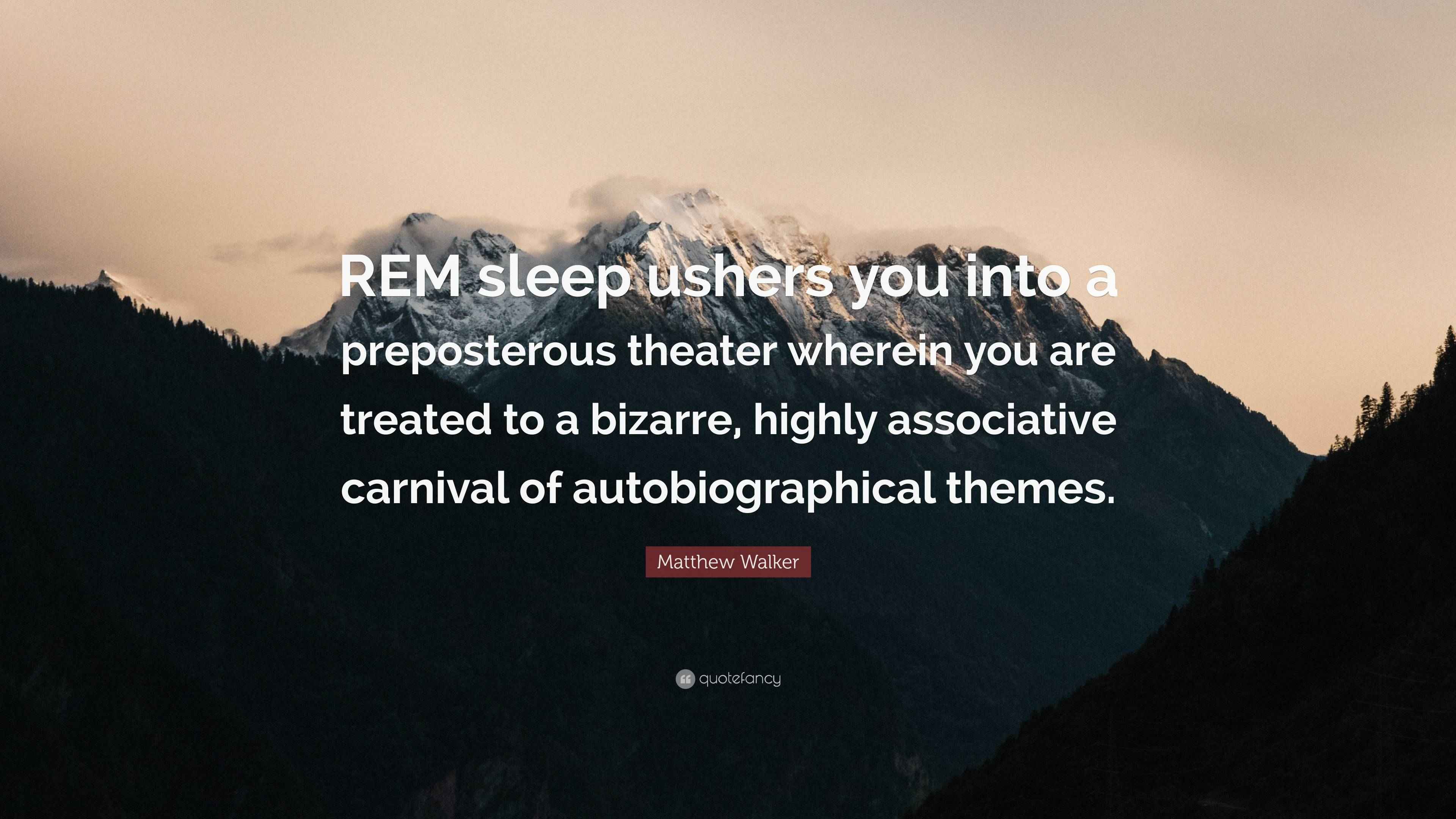 Matthew Walker Quote: “REM sleep ushers you into a preposterous theater ...