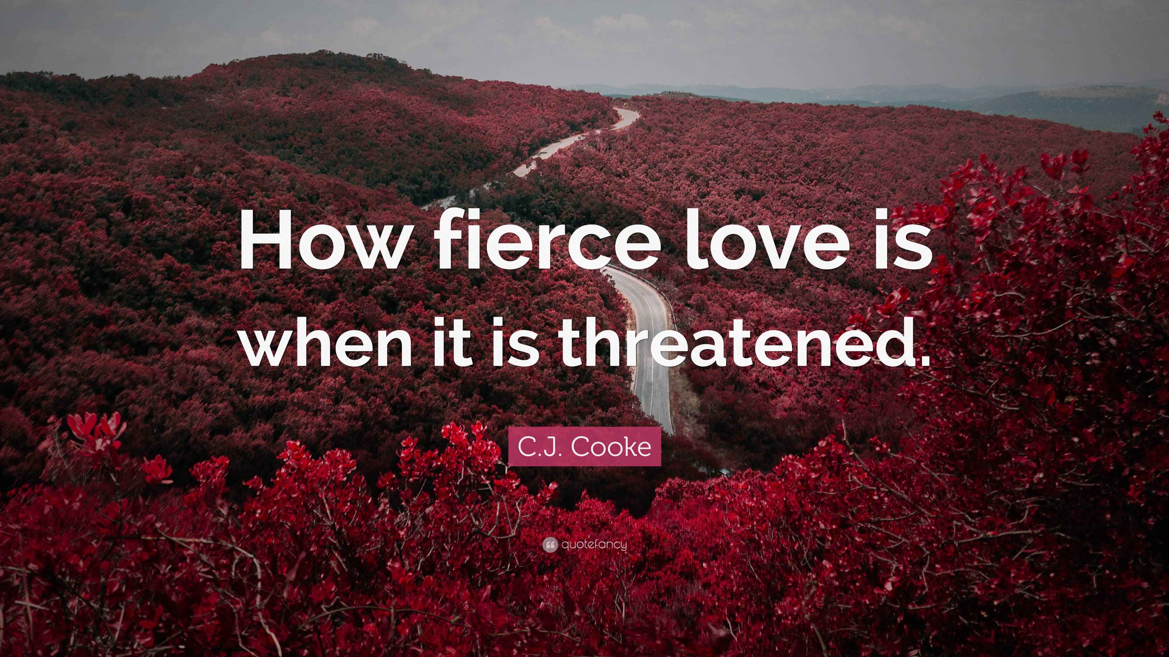 C.J. Cooke Quote: “How fierce love is when it is threatened.”