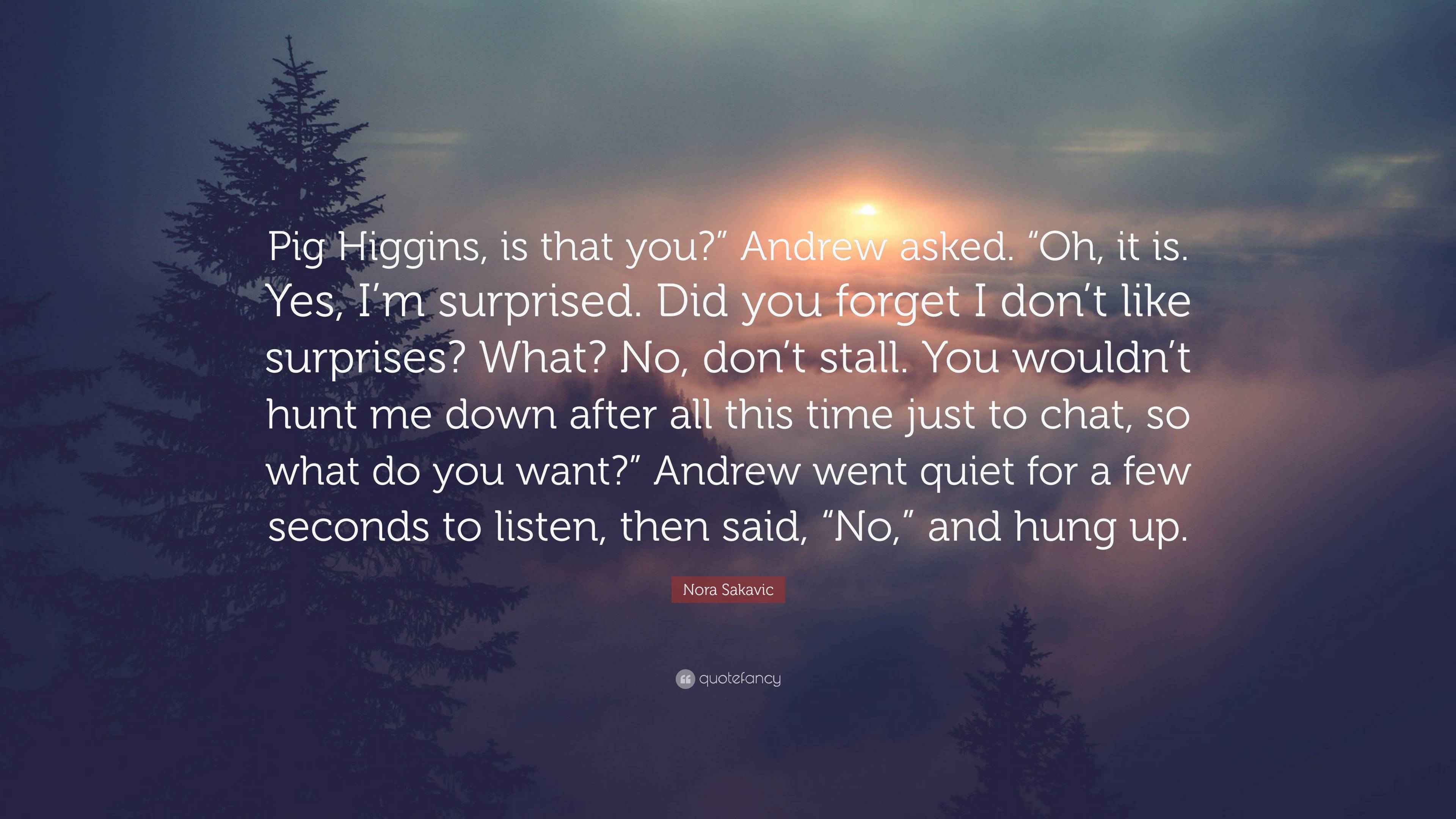 Nora Sakavic Quote: “Pig Higgins, is that you?” Andrew asked. “Oh, it ...