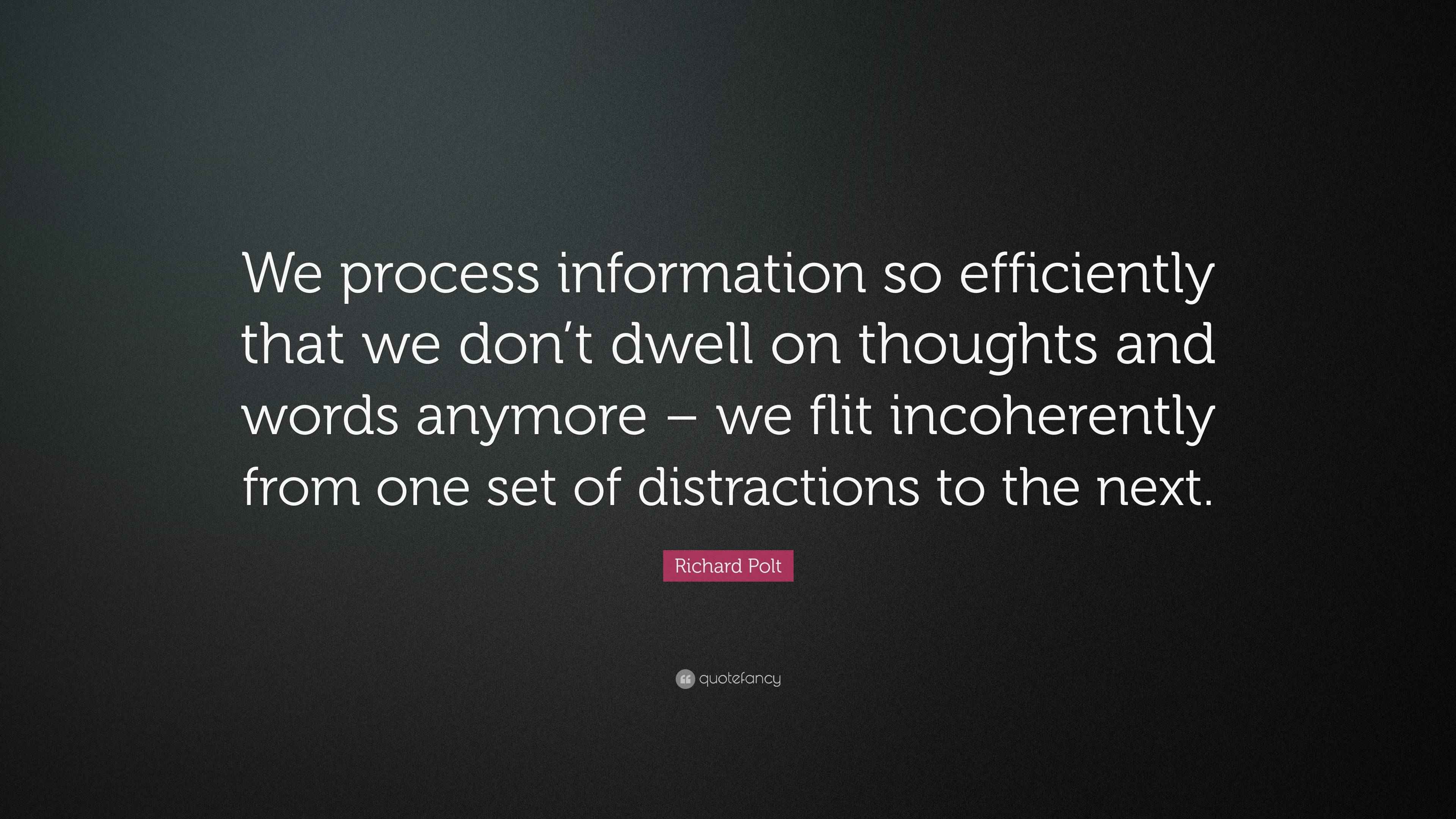 Richard Polt Quote: “We process information so efficiently that we don ...