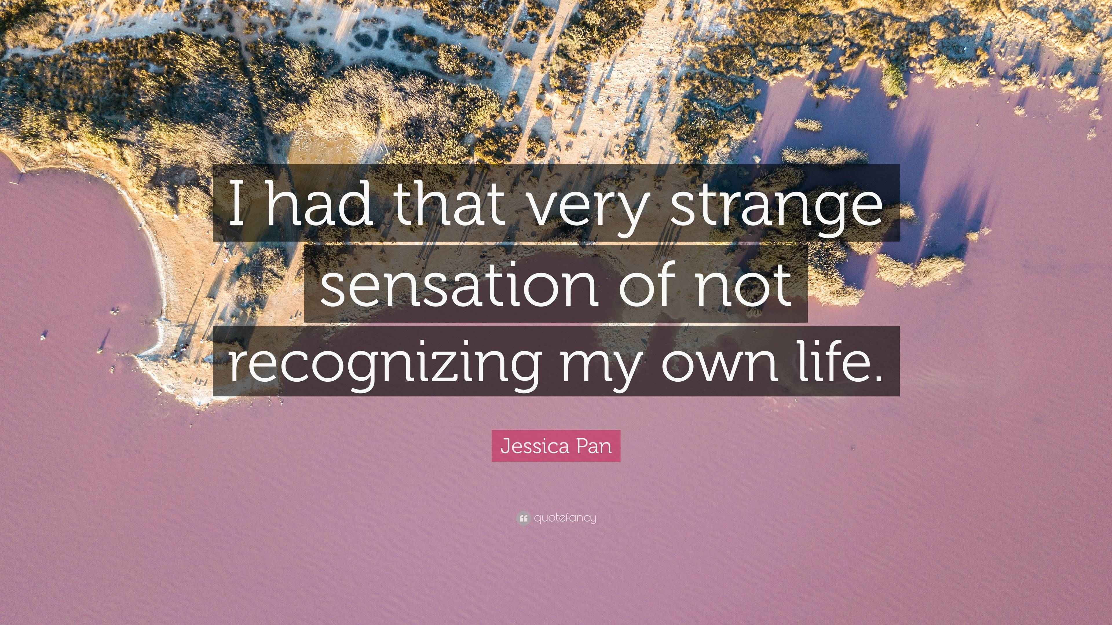 Jessica Pan Quote: “I had that very strange sensation of not ...