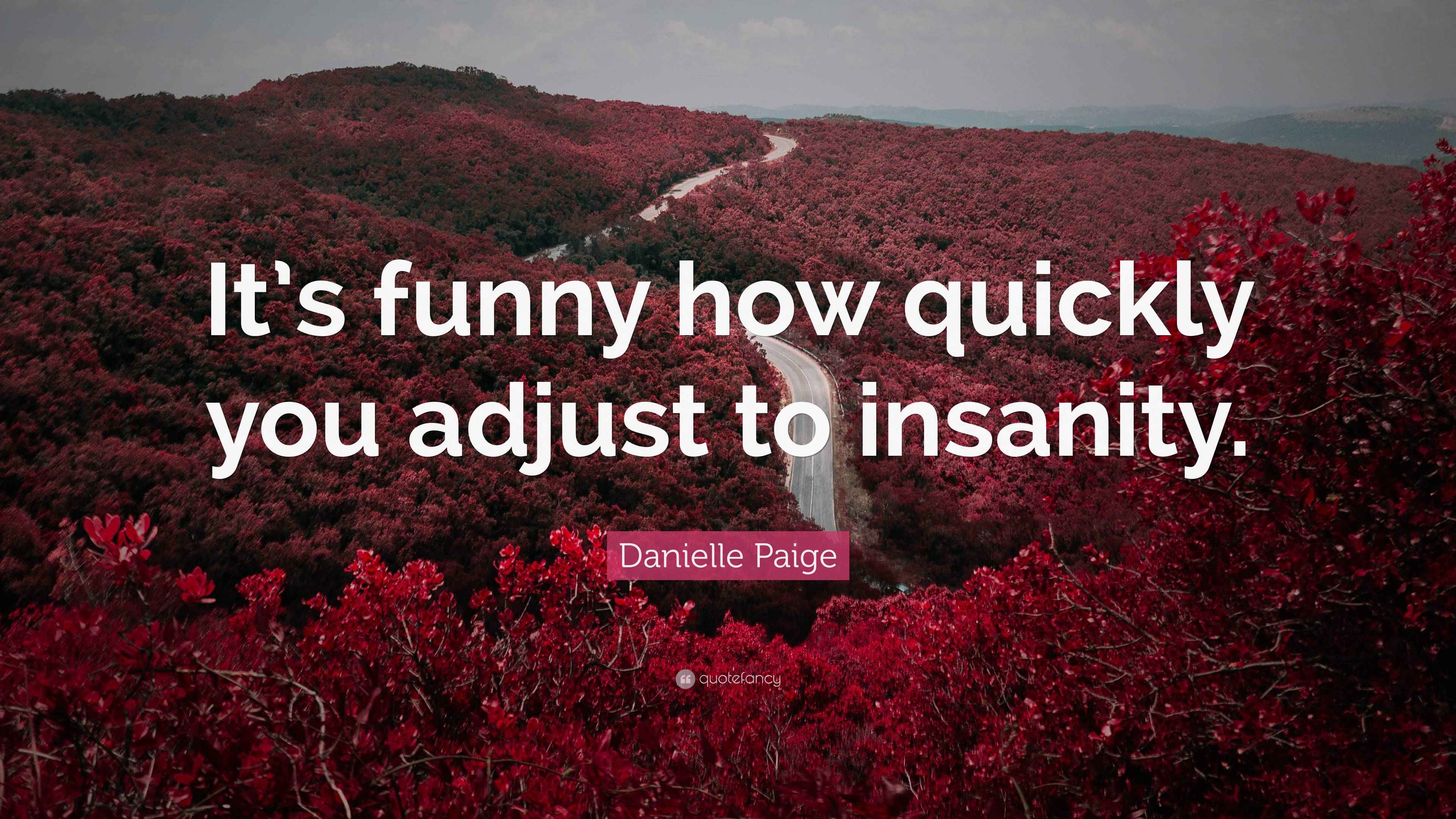Danielle Paige Quote: “It’s funny how quickly you adjust to insanity.”