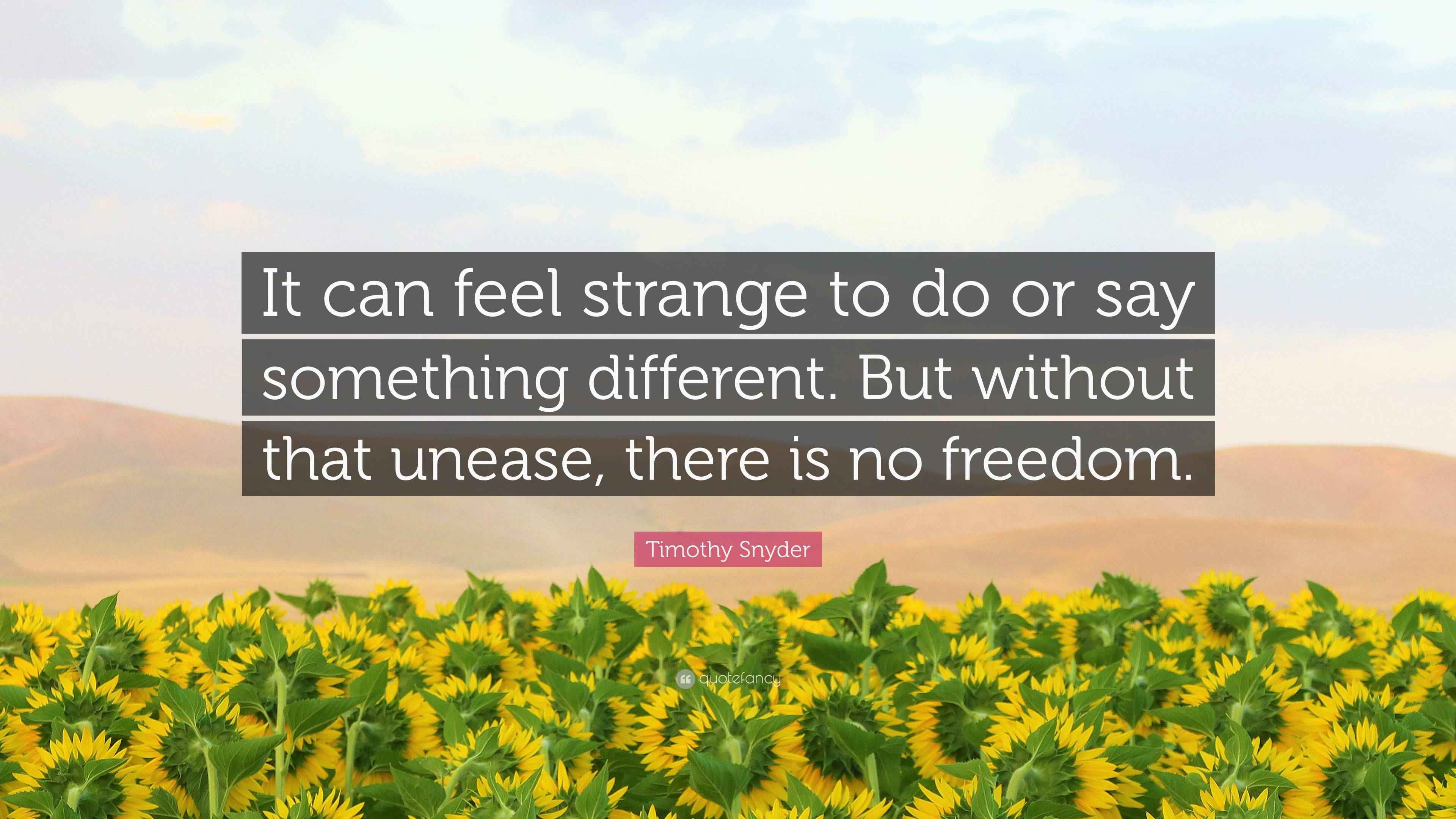Timothy Snyder Quote: “It can feel strange to do or say something ...