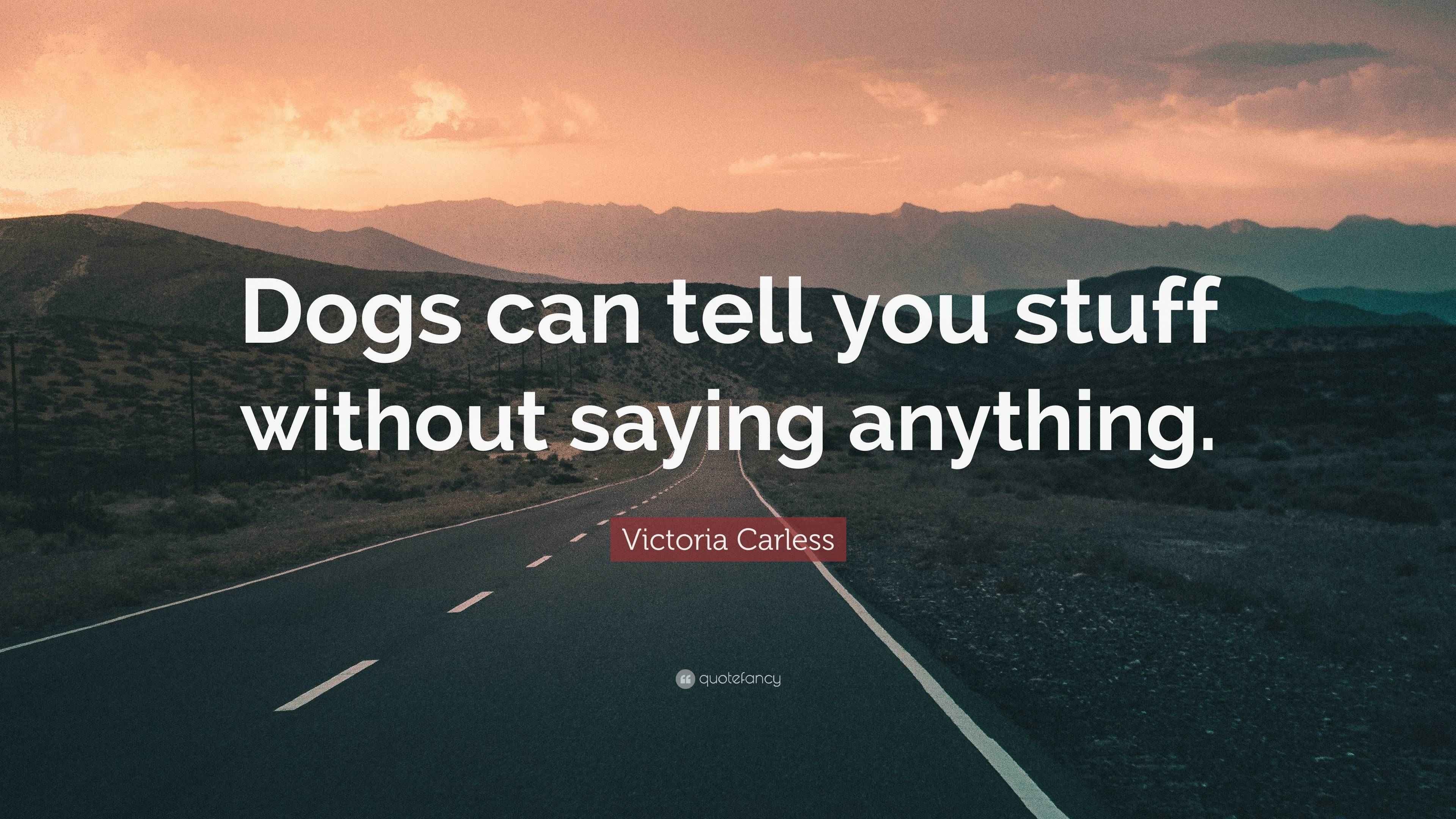 Victoria Carless Quote: “Dogs can tell you stuff without saying anything.”