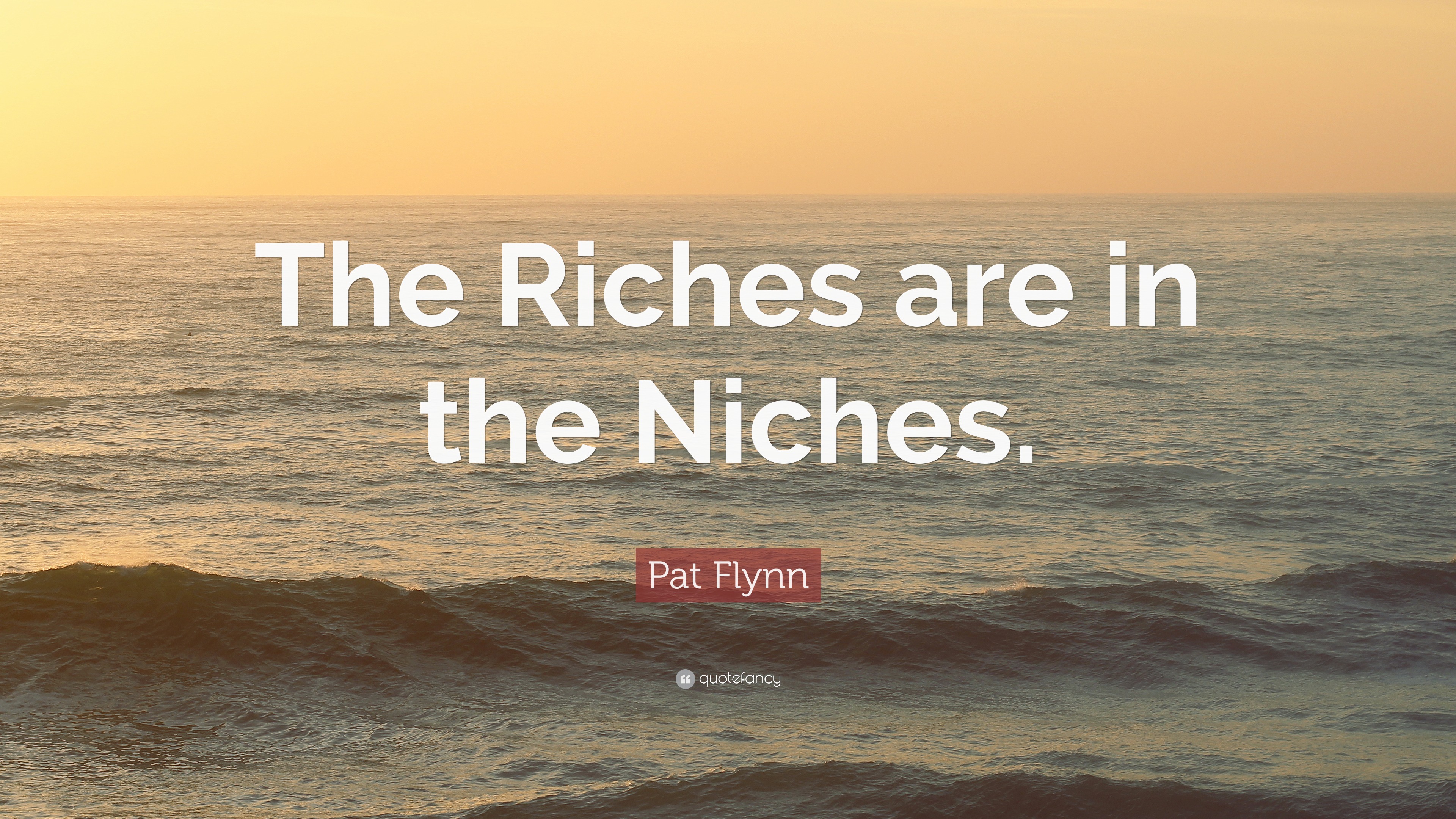 Pat Flynn Quote: “The Riches are in the Niches.”