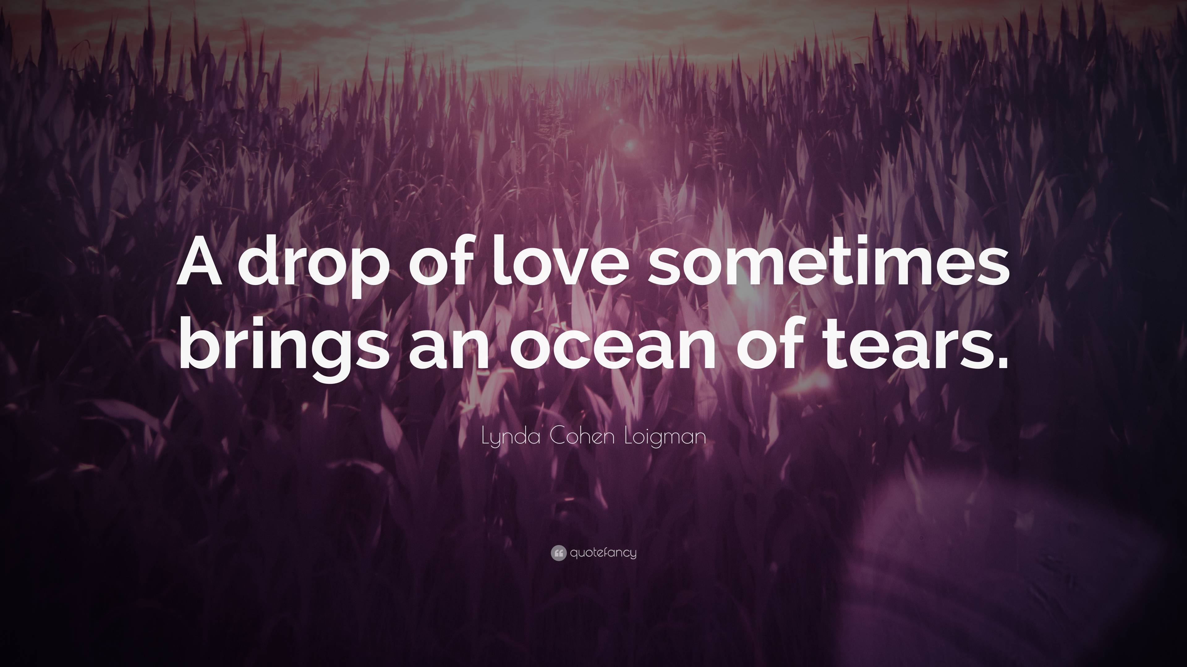 Lynda Cohen Loigman Quote: “A drop of love sometimes brings an ocean of ...