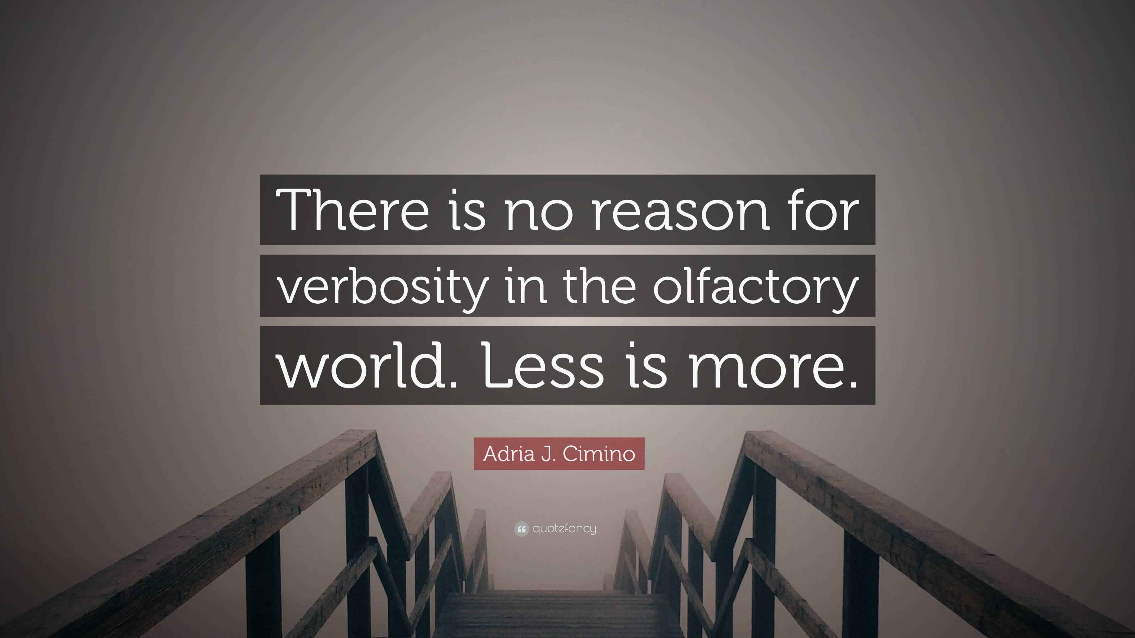 Adria J. Cimino Quote: “There is no reason for verbosity in the ...
