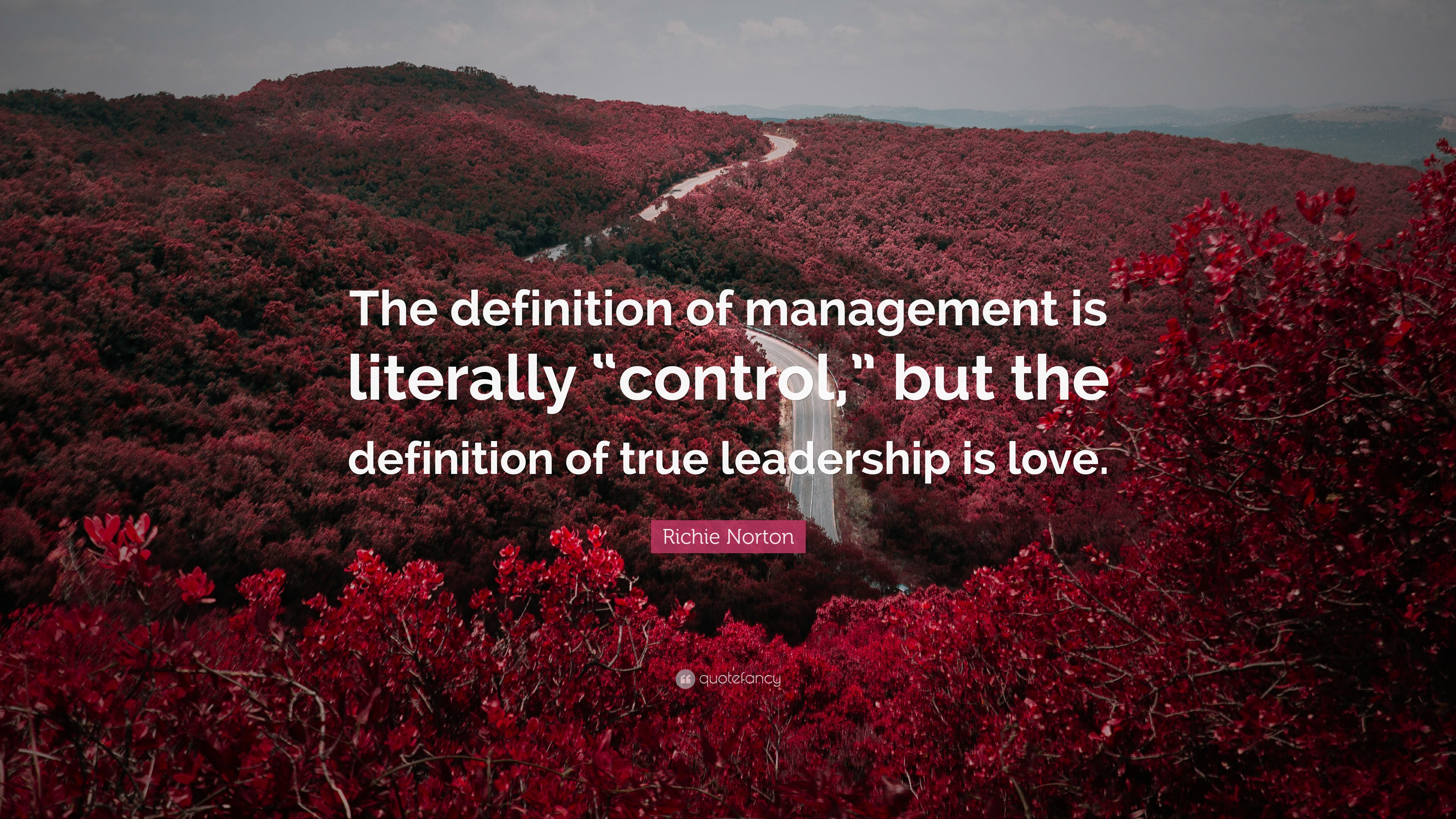 Richie Norton Quote: “The definition of management is literally ...