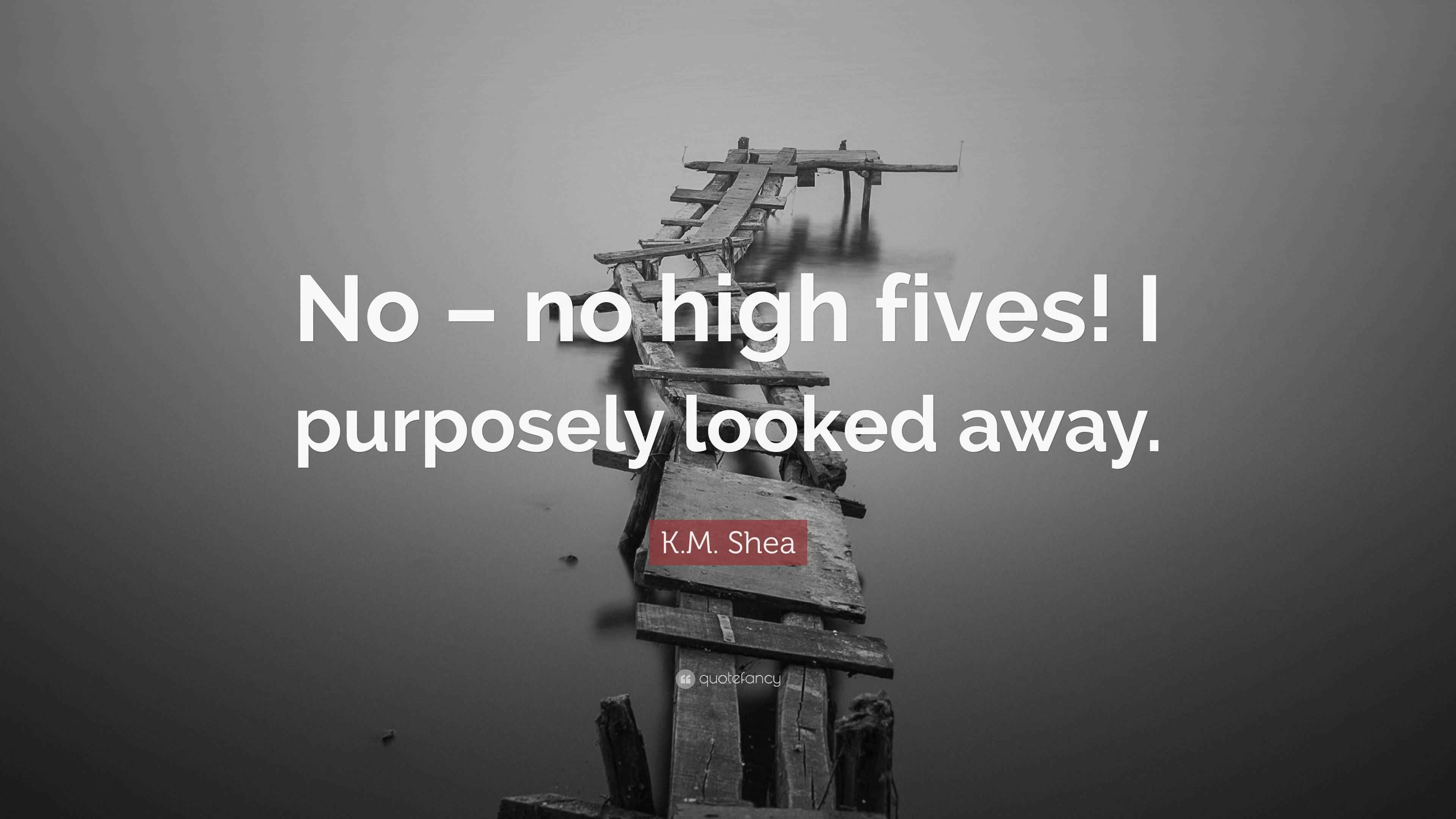 K.M. Shea Quote: “No – no high fives! I purposely looked away.”
