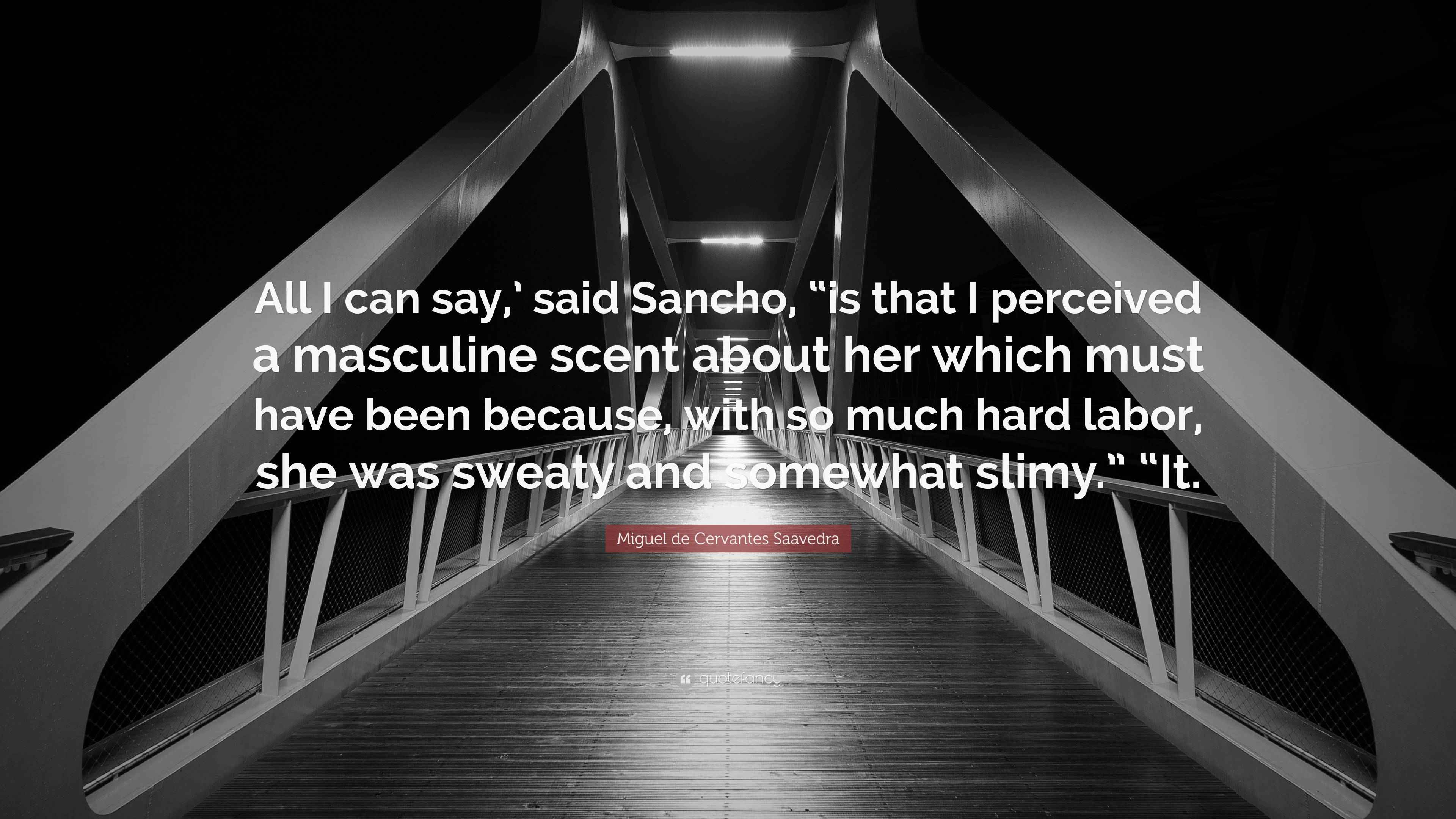 Miguel de Cervantes Saavedra Quote: “All I can say,’ said Sancho, “is ...