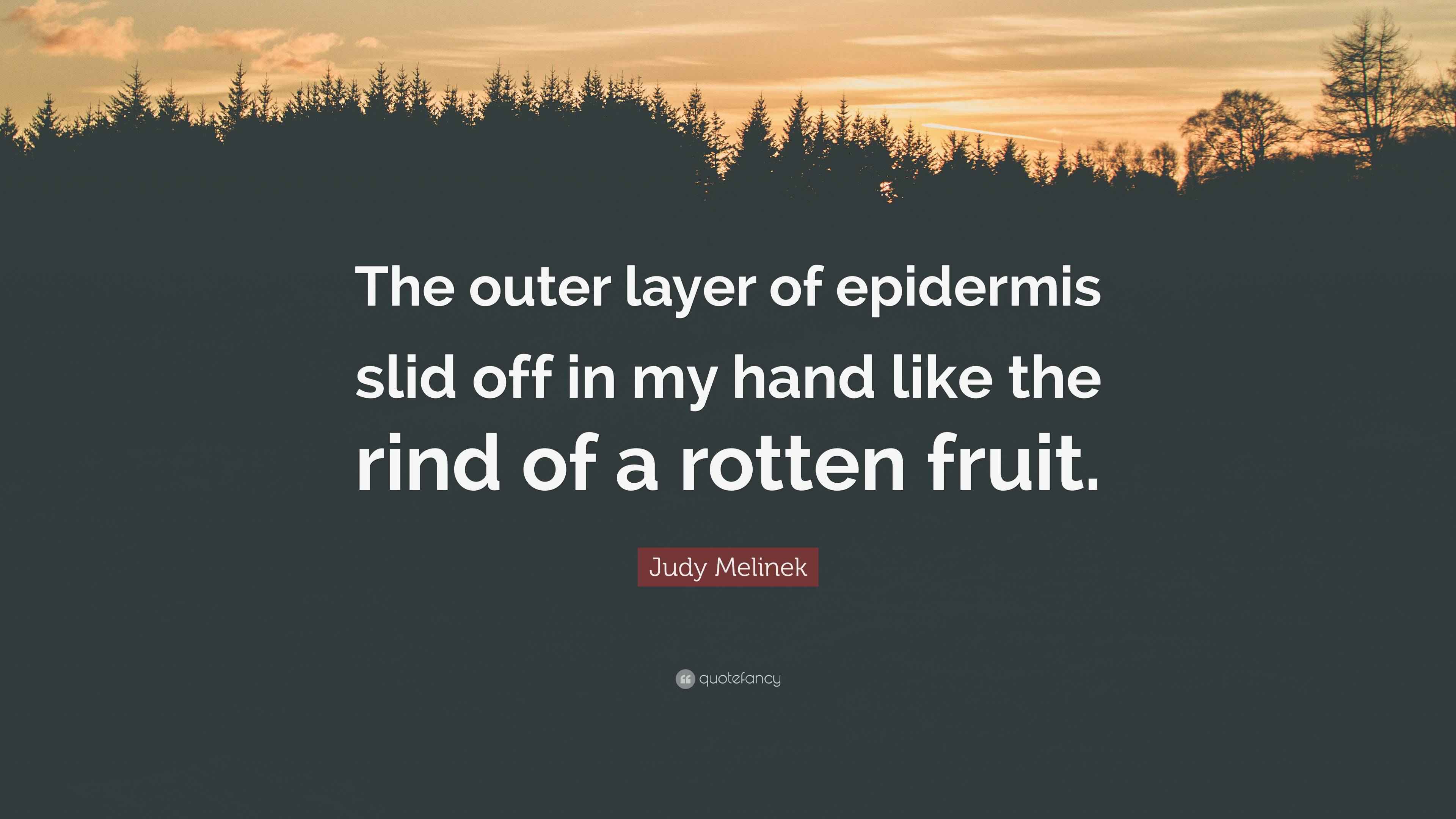 Judy Melinek Quote: “The outer layer of epidermis slid off in my hand ...