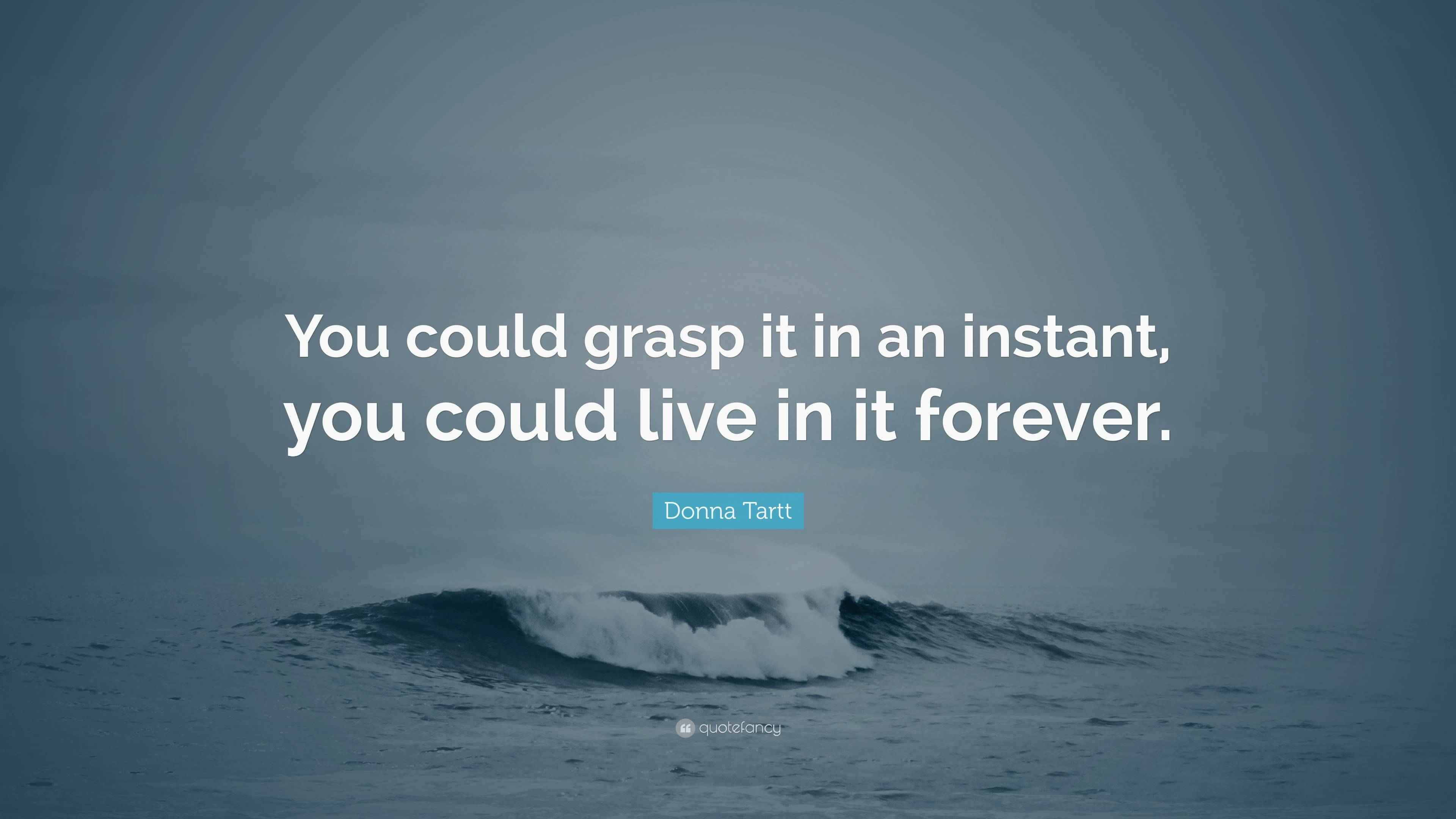 Donna Tartt Quote: “You could grasp it in an instant, you could live in ...