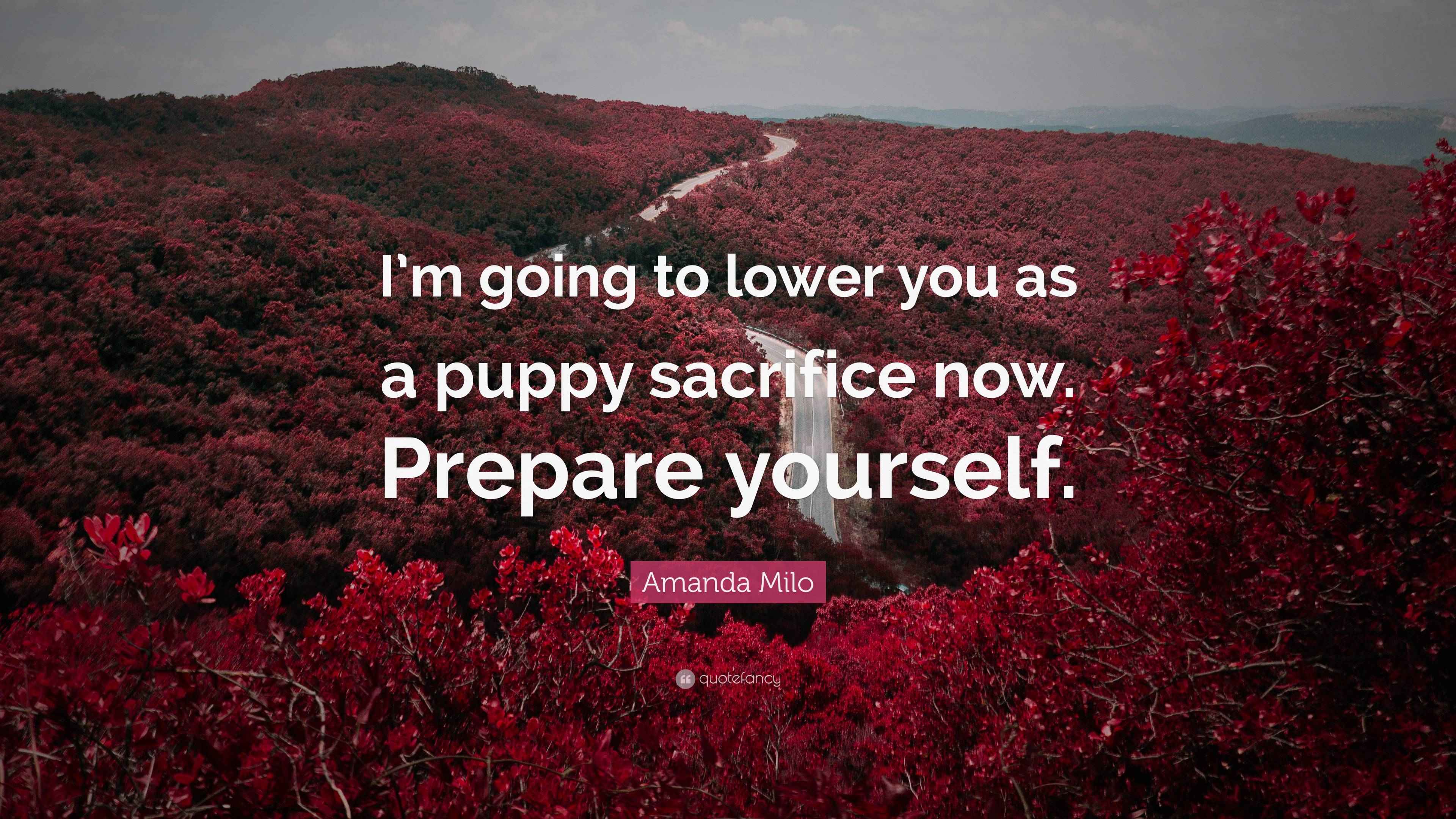 Amanda Milo Quote: “I’m going to lower you as a puppy sacrifice now ...