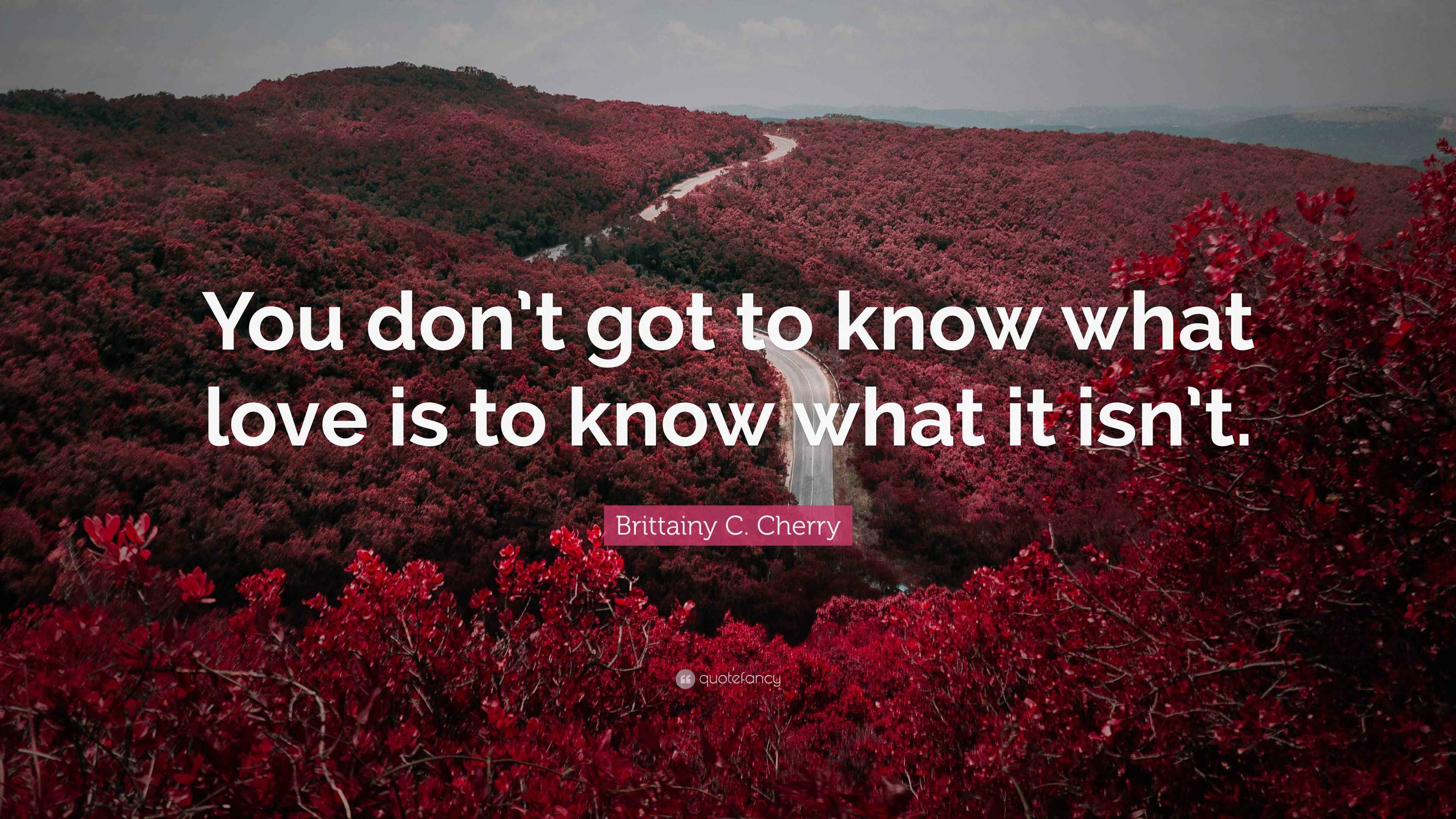 Brittainy C. Cherry Quote: “You don’t got to know what love is to know ...
