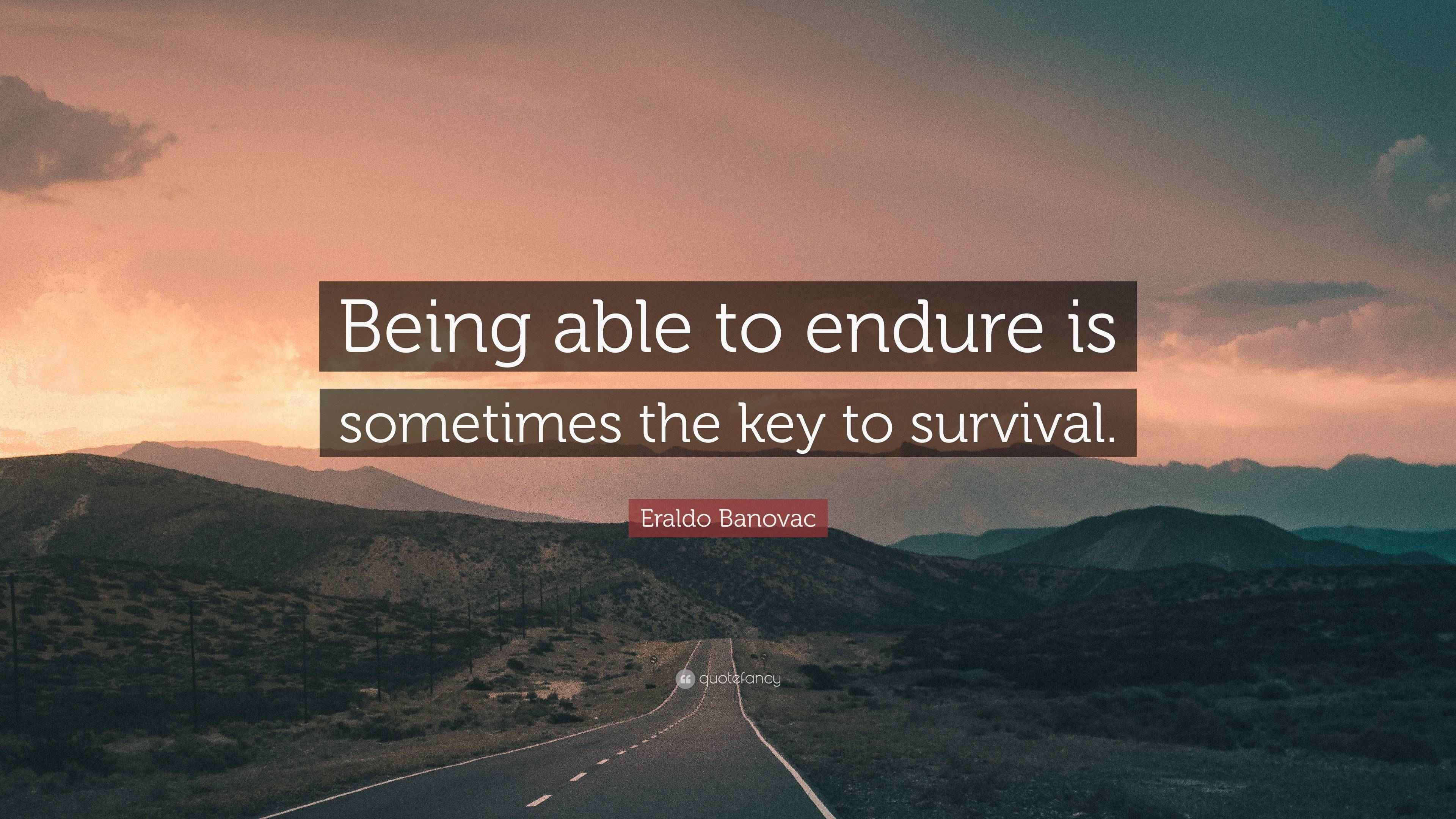 Eraldo Banovac Quote: “Being able to endure is sometimes the key to ...