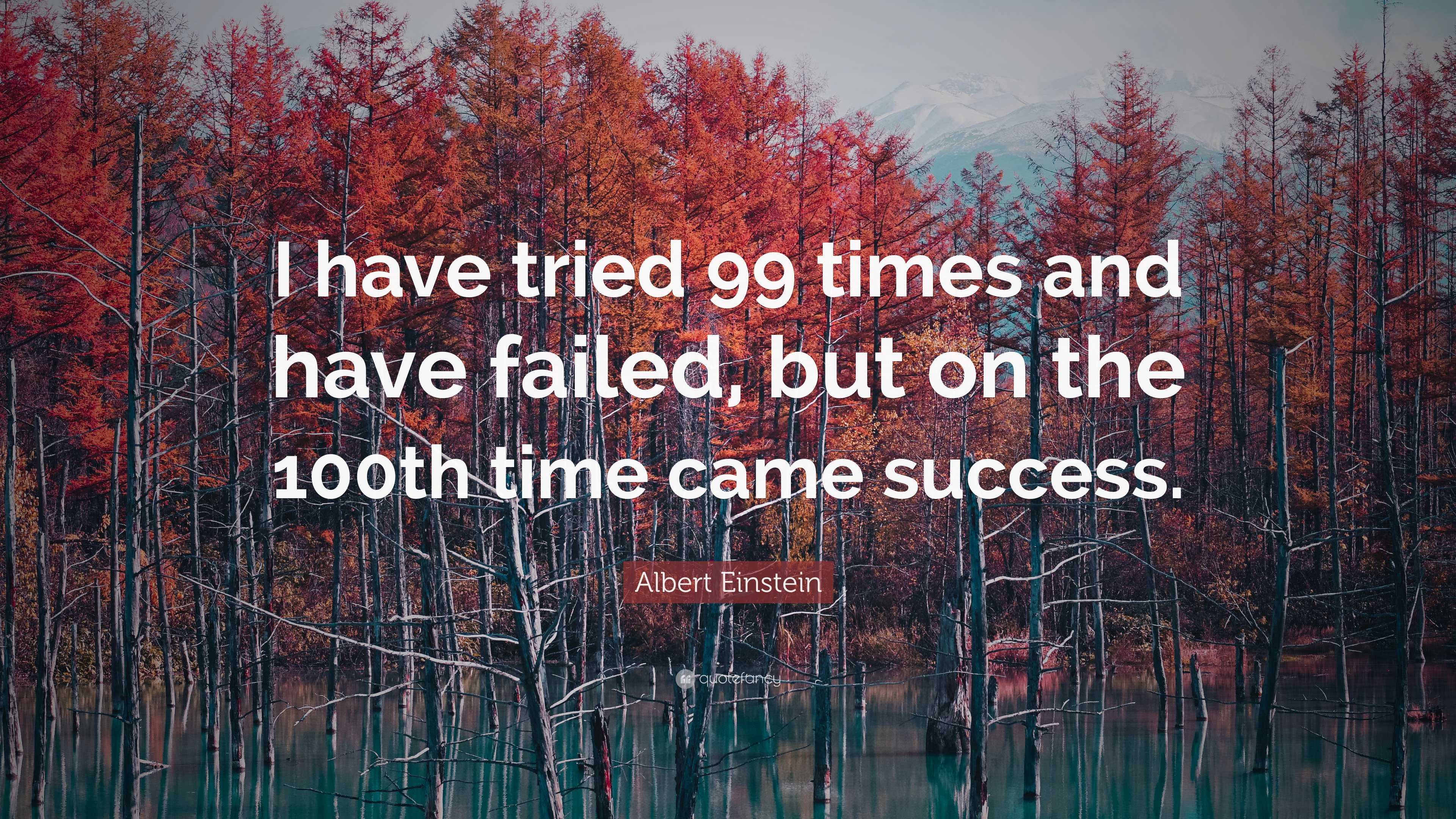 Albert Einstein Quote: “I have tried 99 times and have failed, but on ...