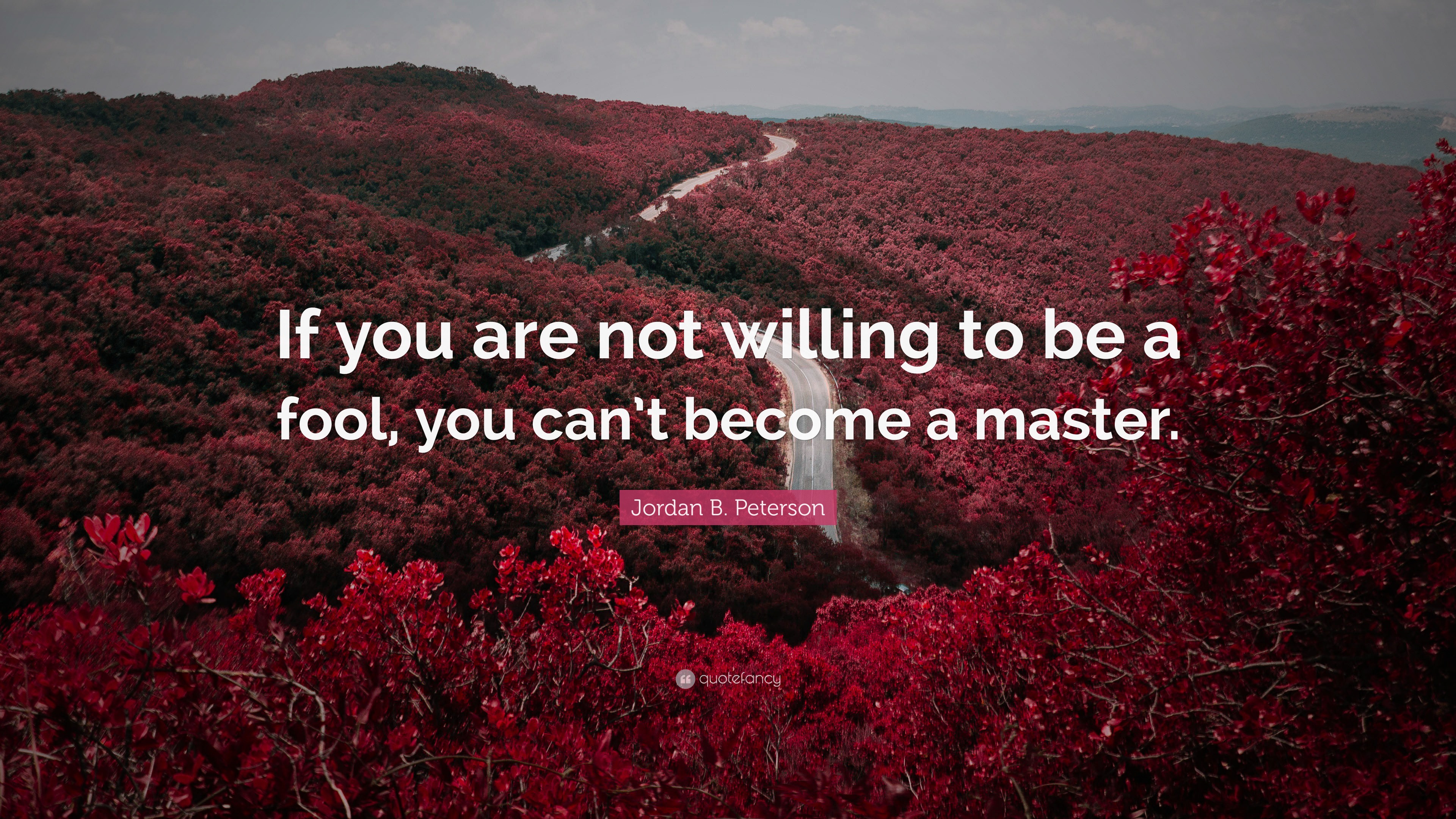 Jordan B. Peterson Quote: “If you are not willing to be a fool, you can ...