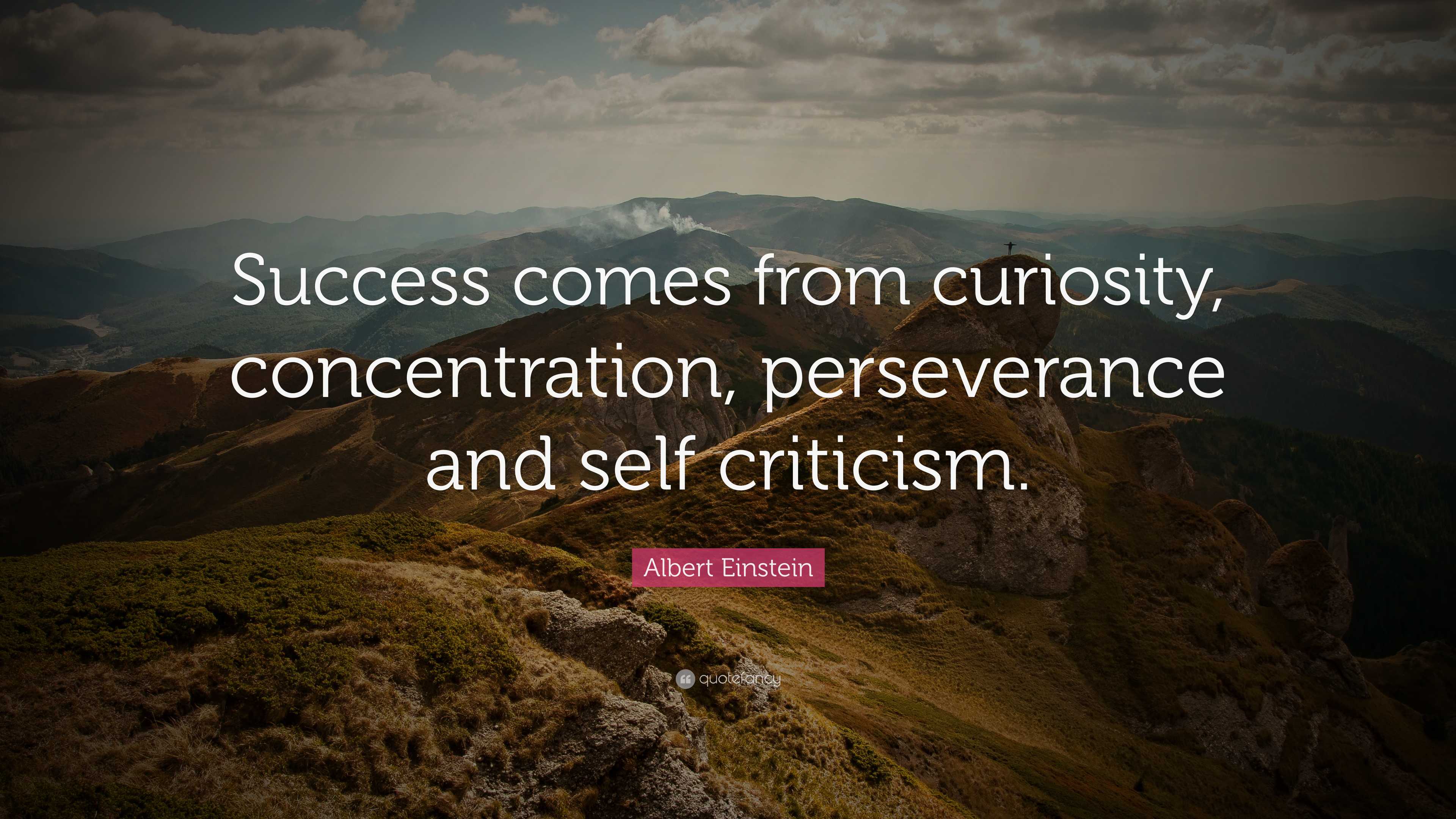 Albert Einstein Quote: “Success comes from curiosity, concentration ...