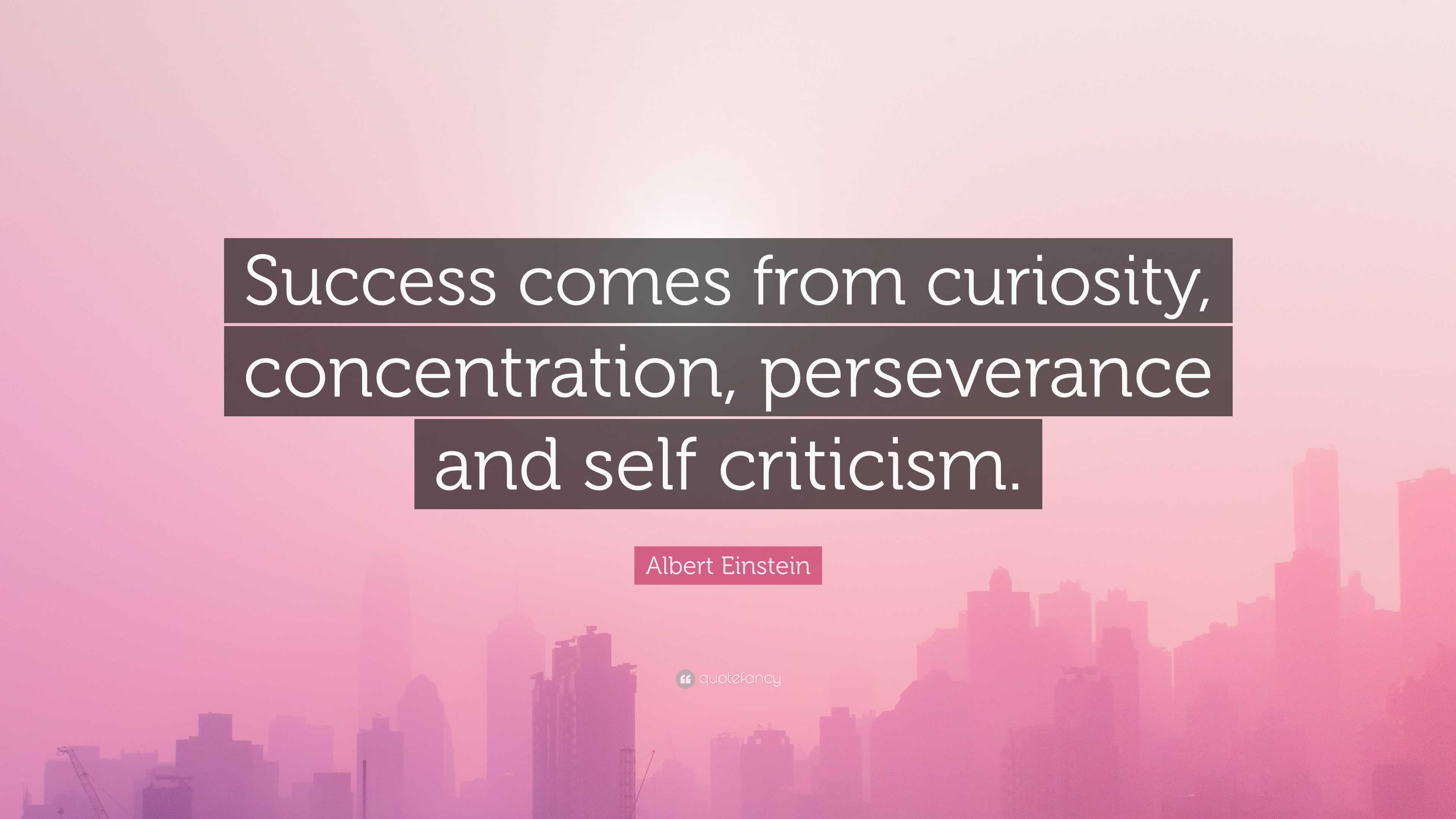 Albert Einstein Quote: “Success comes from curiosity, concentration ...