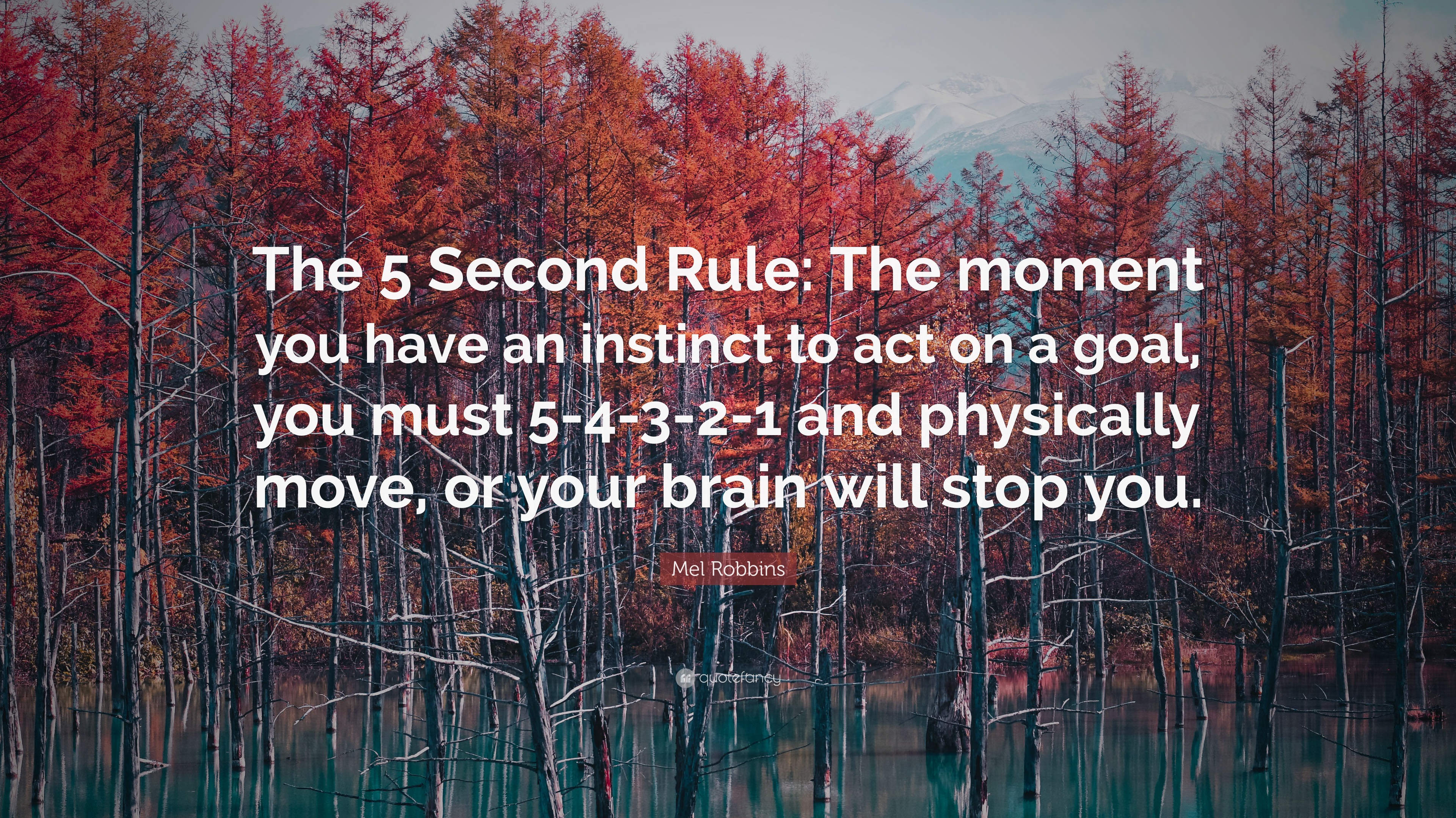 Mel Robbins Quote: “The 5 Second Rule: The moment you have an instinct ...