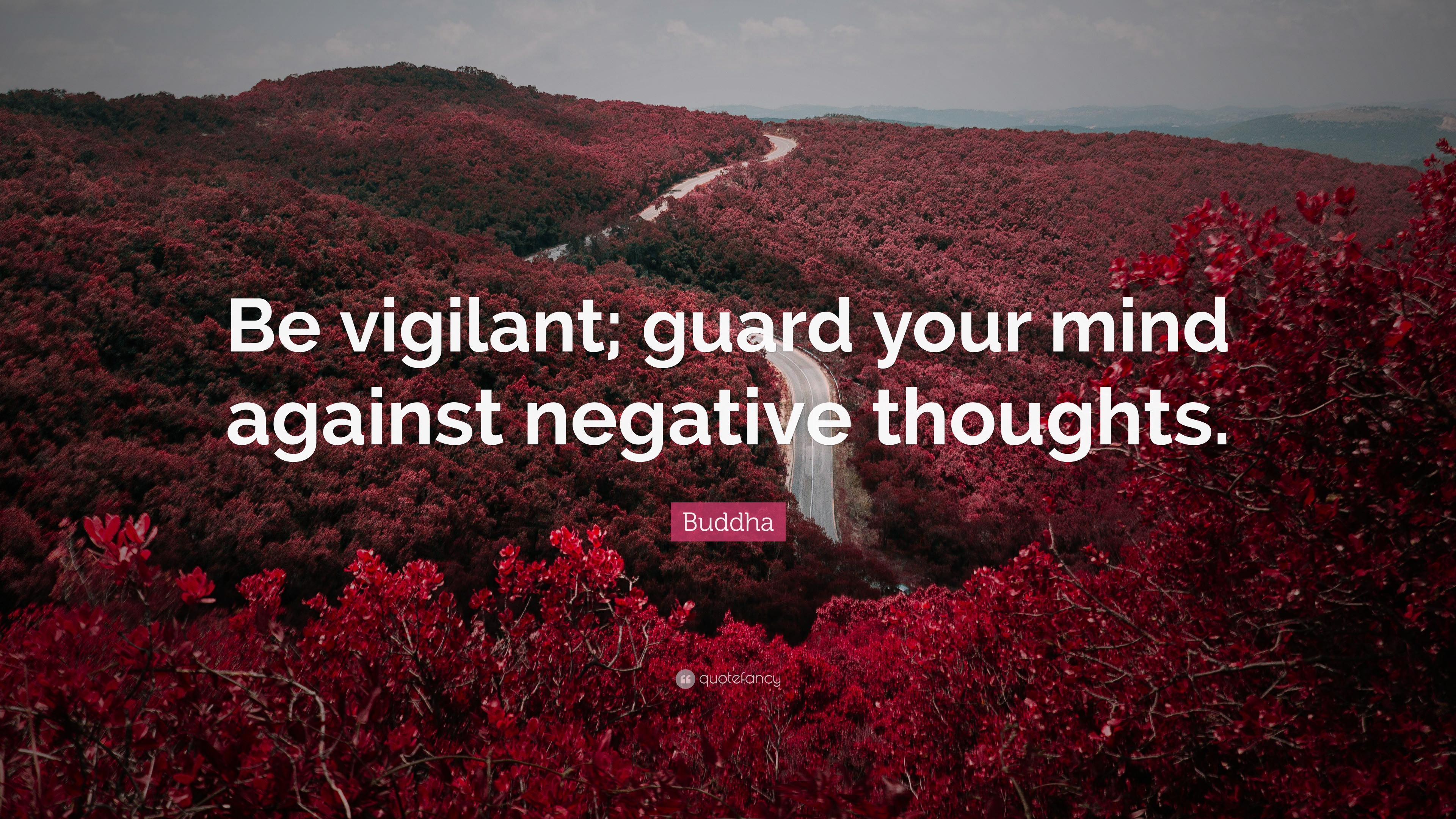 Buddha Quote: “Be vigilant; guard your mind against negative thoughts.”
