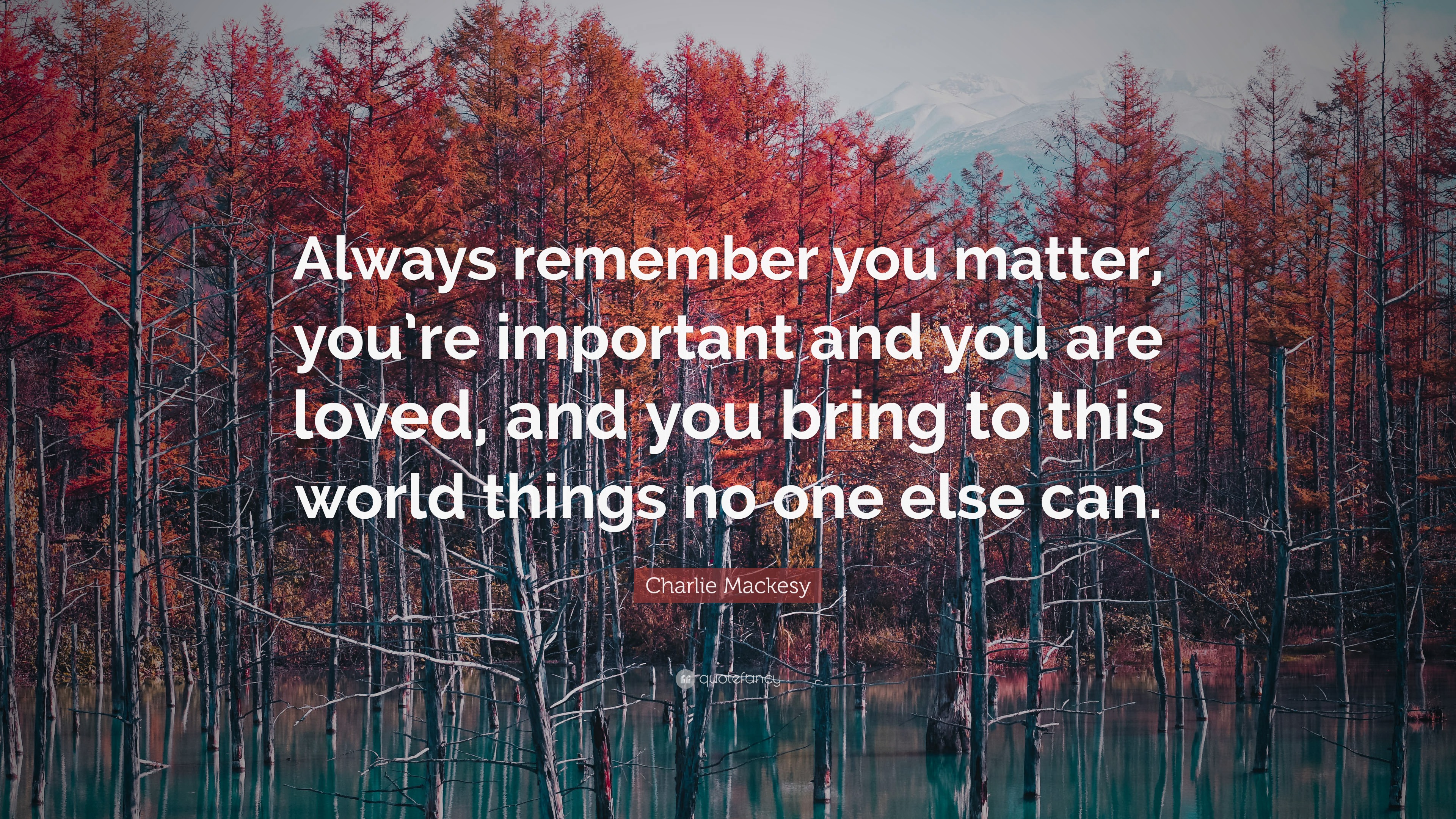 Charlie Mackesy Quote: “Always remember you matter, you’re important ...