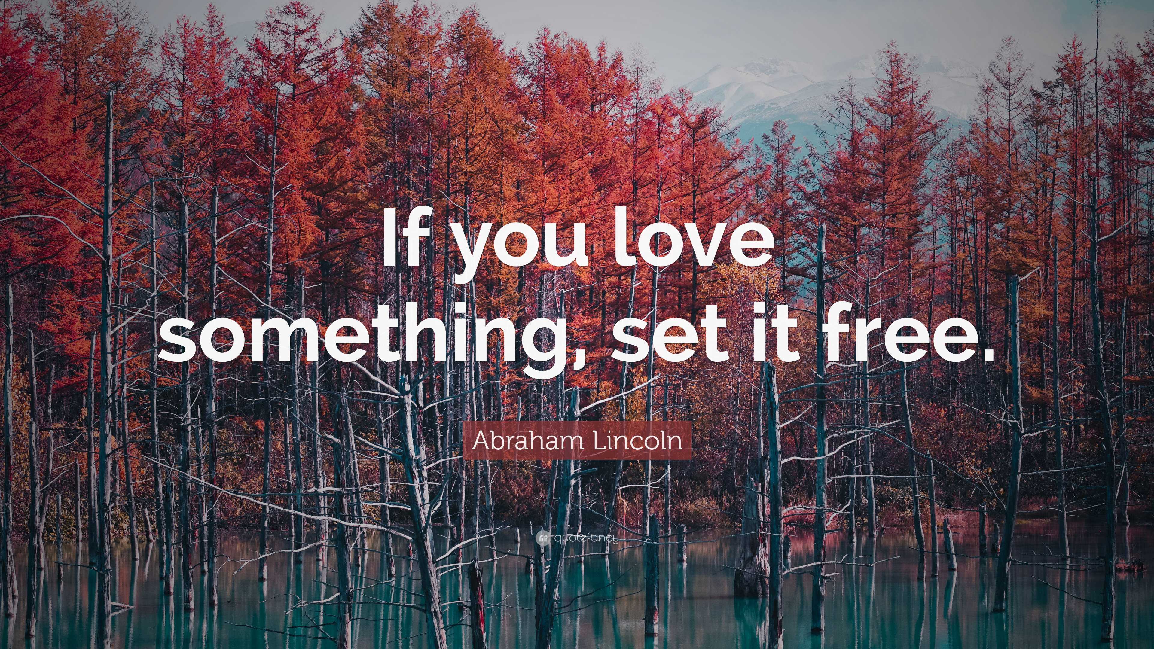 Abraham Lincoln Quote: “If you love something, set it free.”