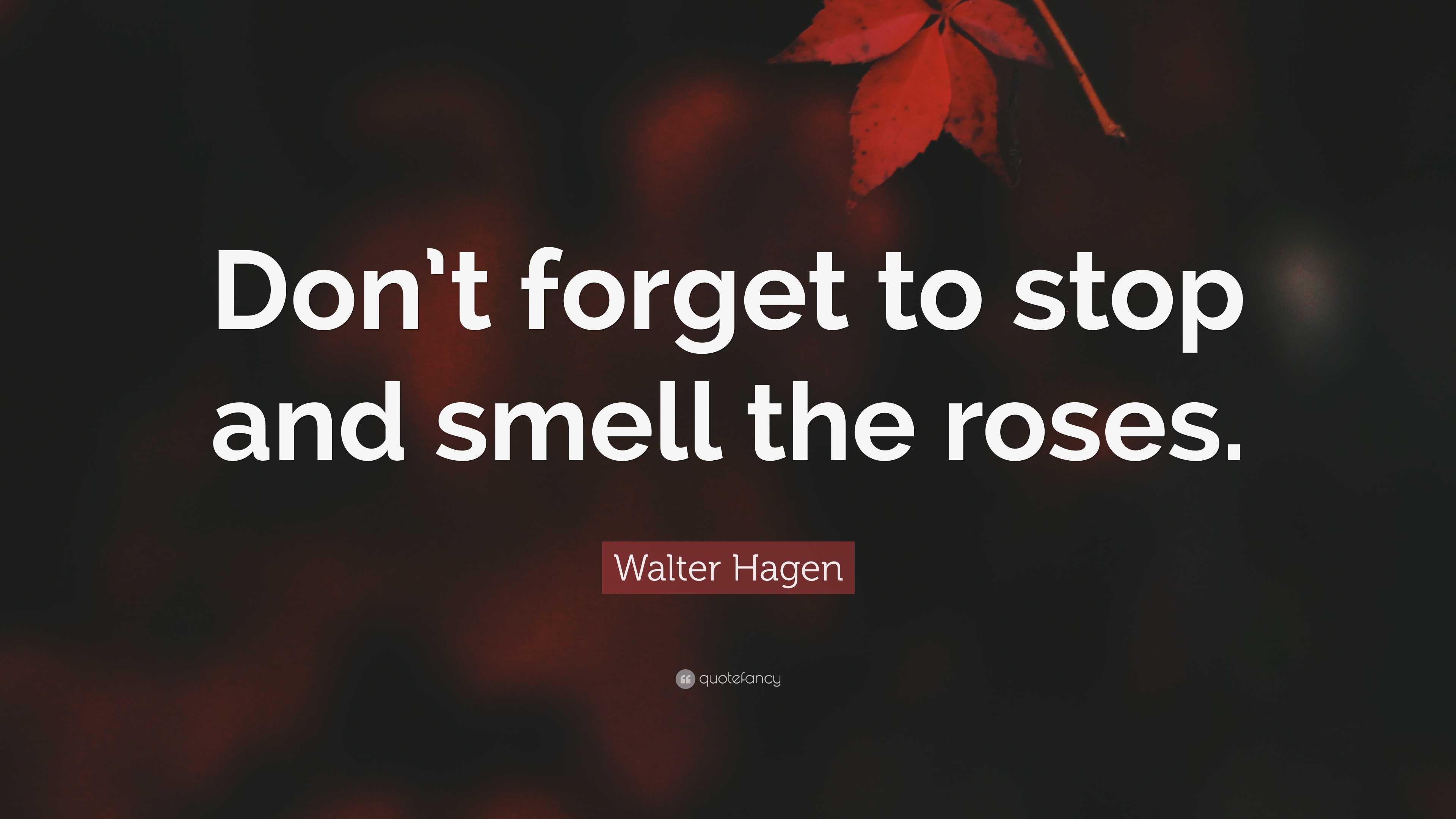 Walter Hagen Quote: “Don’t forget to stop and smell the roses.”