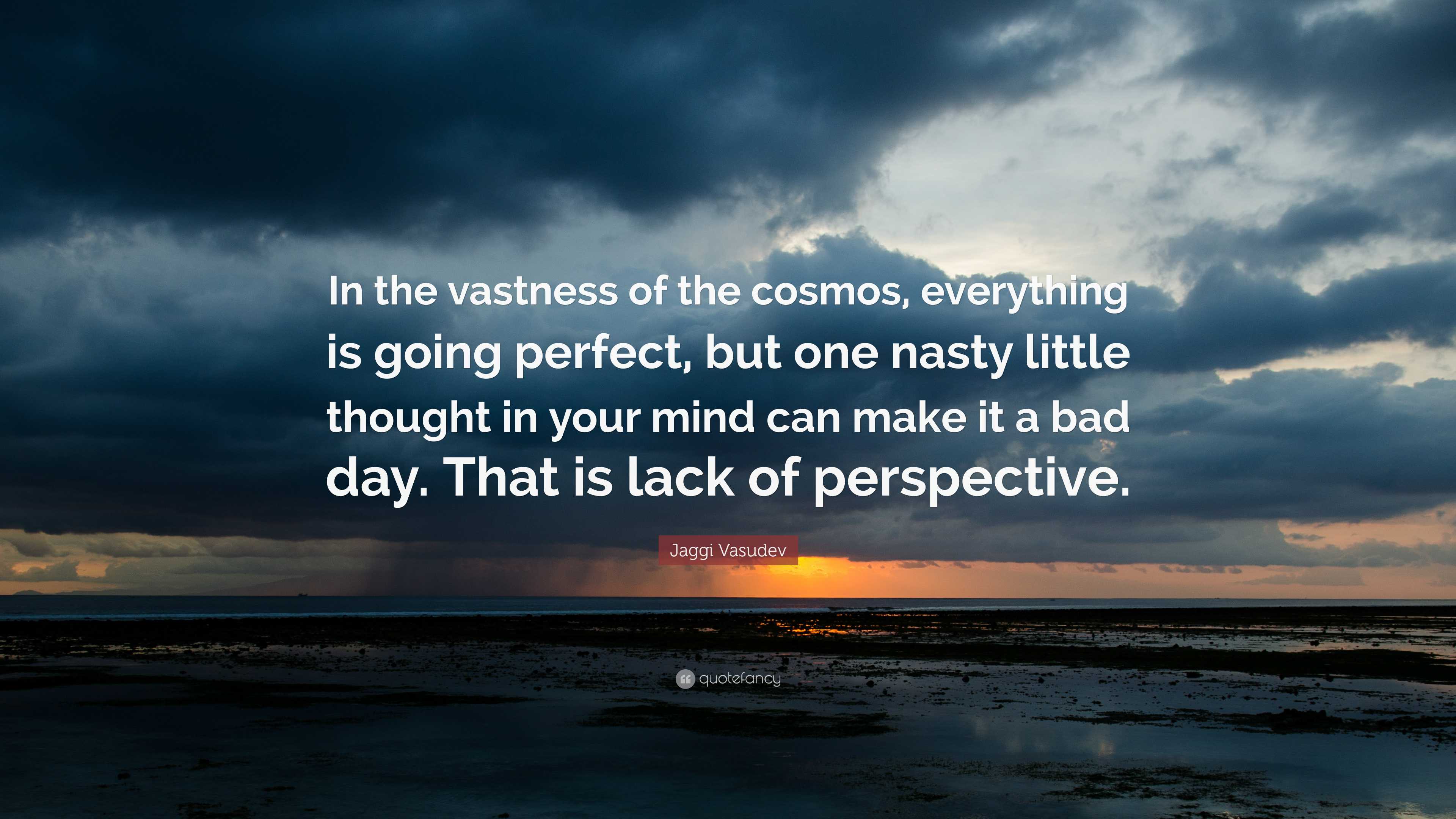 Jaggi Vasudev Quote: “In the vastness of the cosmos, everything is ...