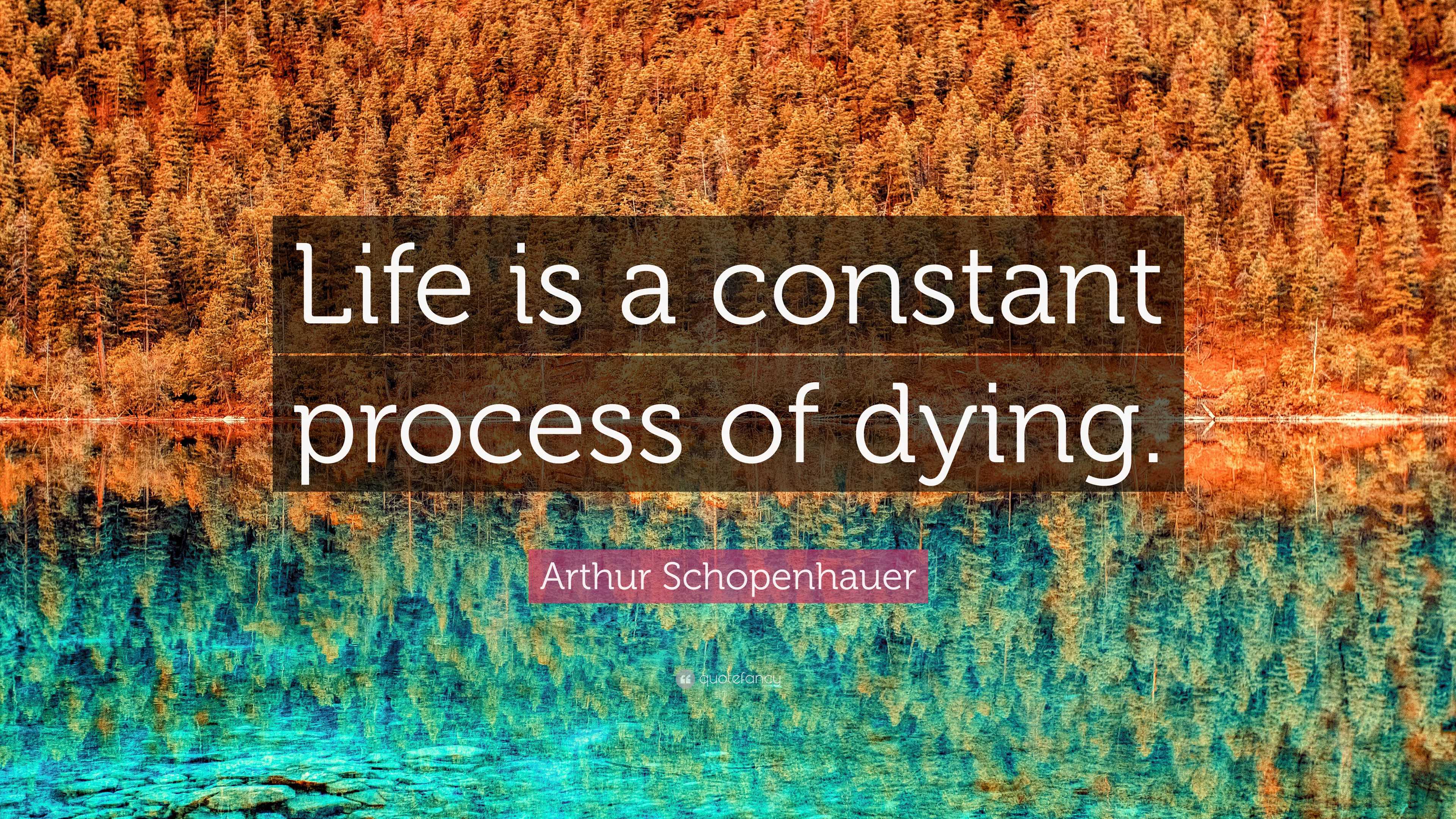 Arthur Schopenhauer Quote: “Life is a constant process of dying.”