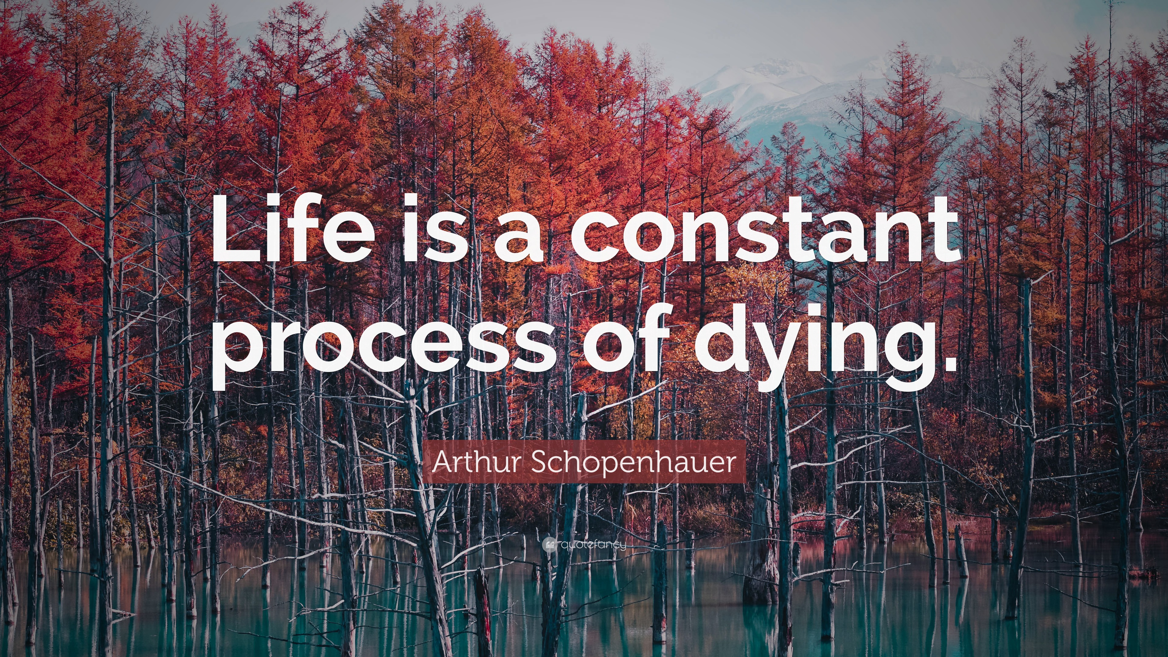 Arthur Schopenhauer Quote: “Life is a constant process of dying.”
