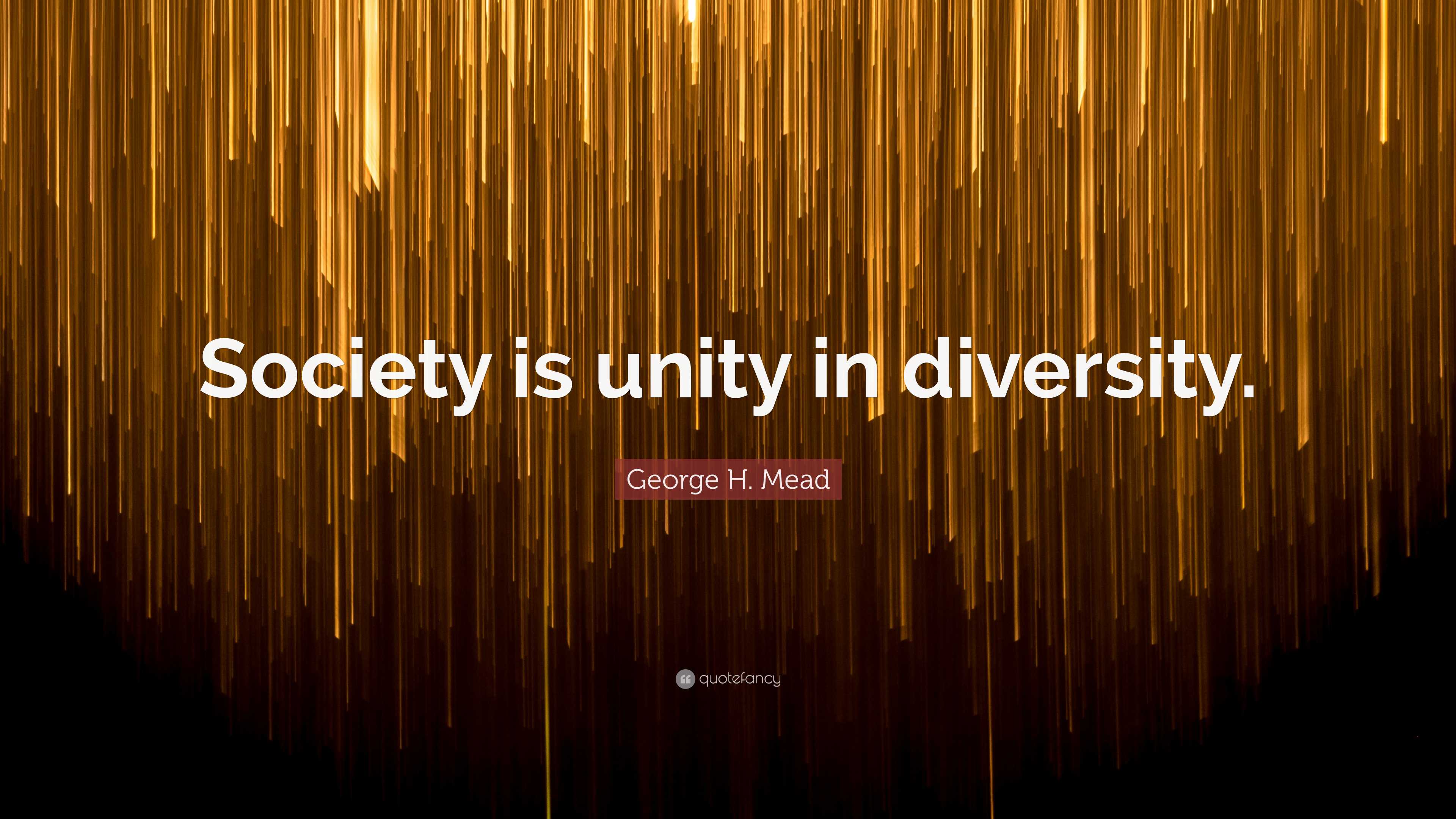 George H. Mead Quote: “Society is unity in diversity.”
