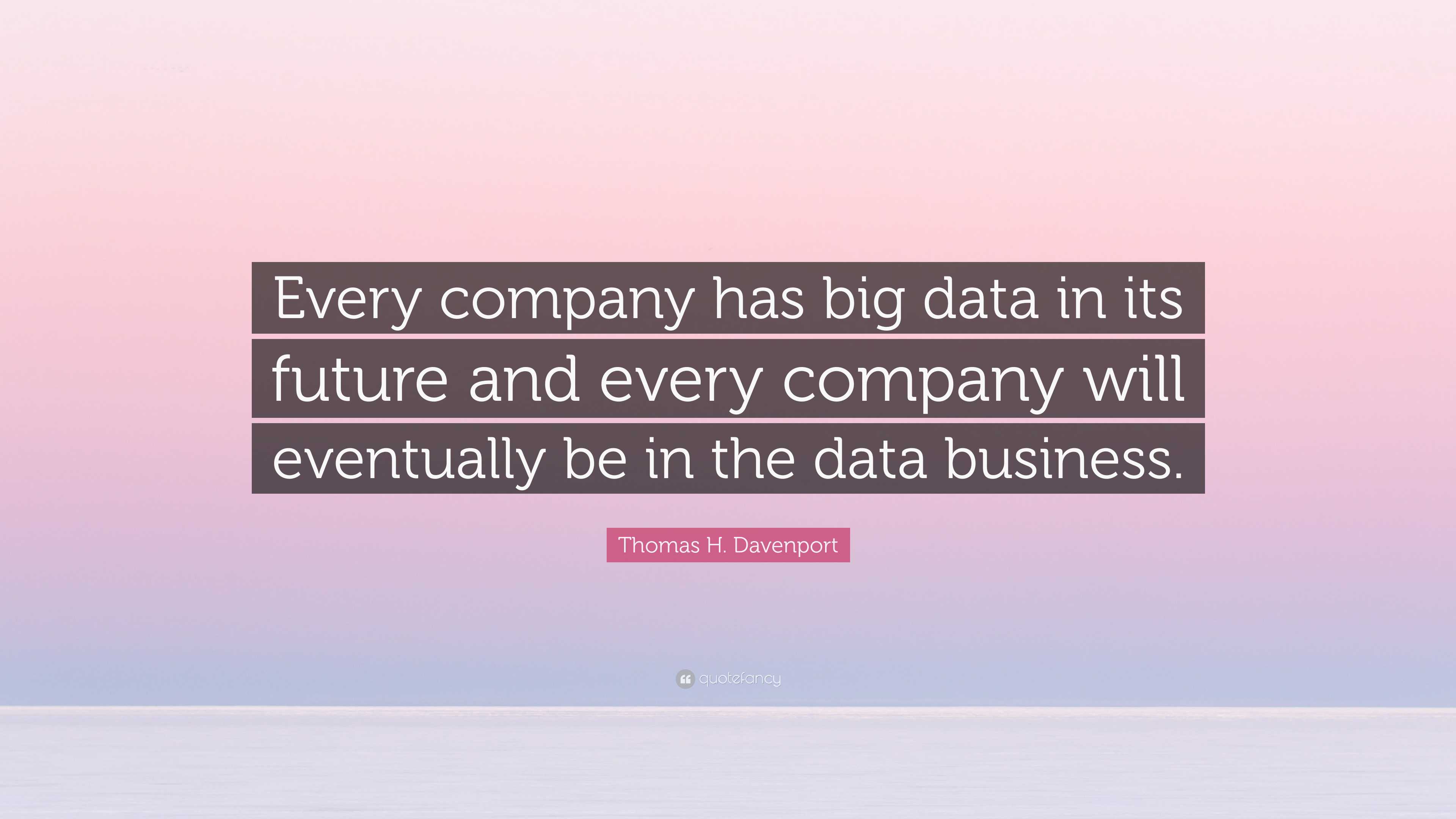 Thomas H. Davenport Quote: “Every company has big data in its future ...