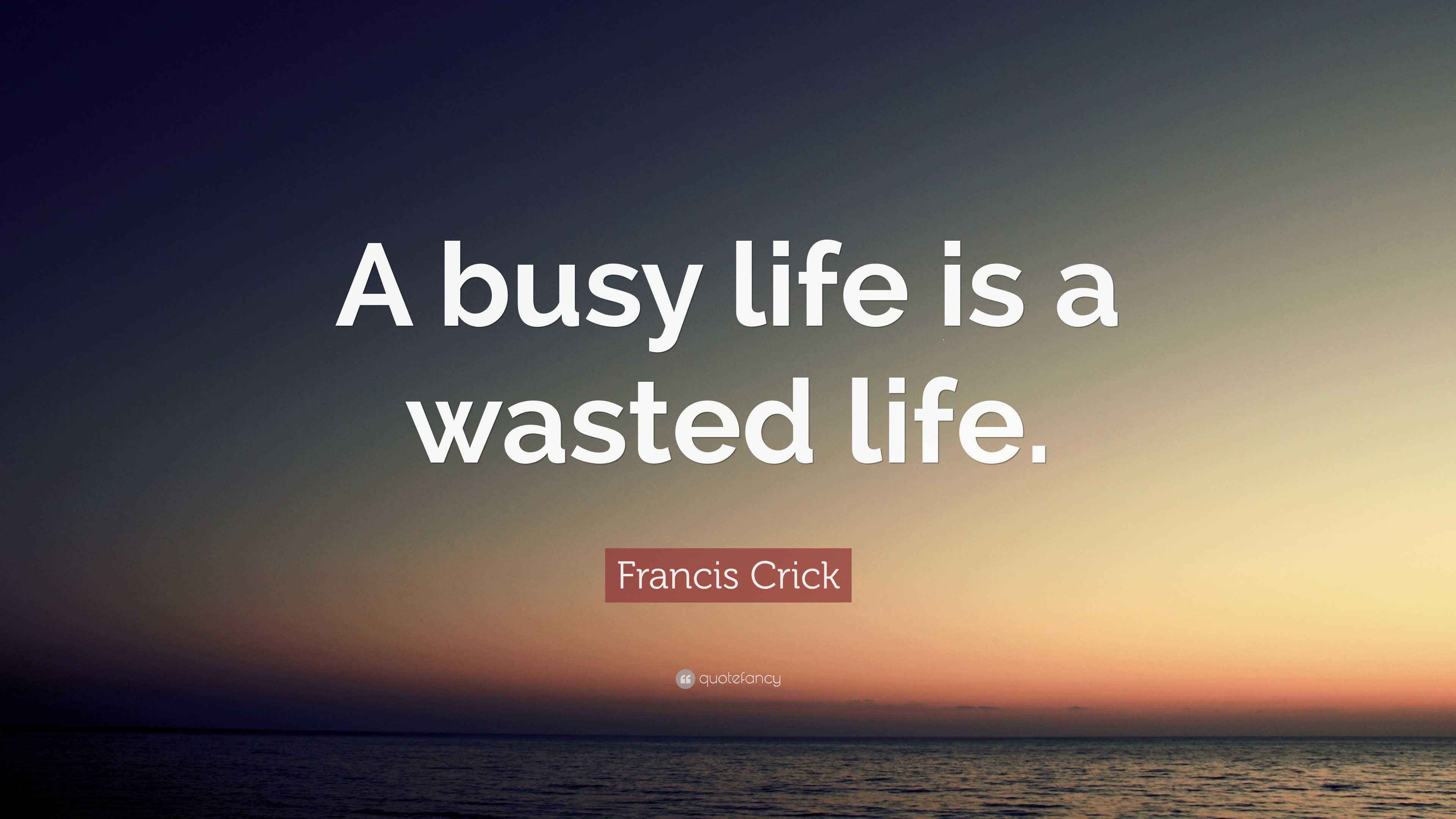 Francis Crick Quote: “A busy life is a wasted life.”