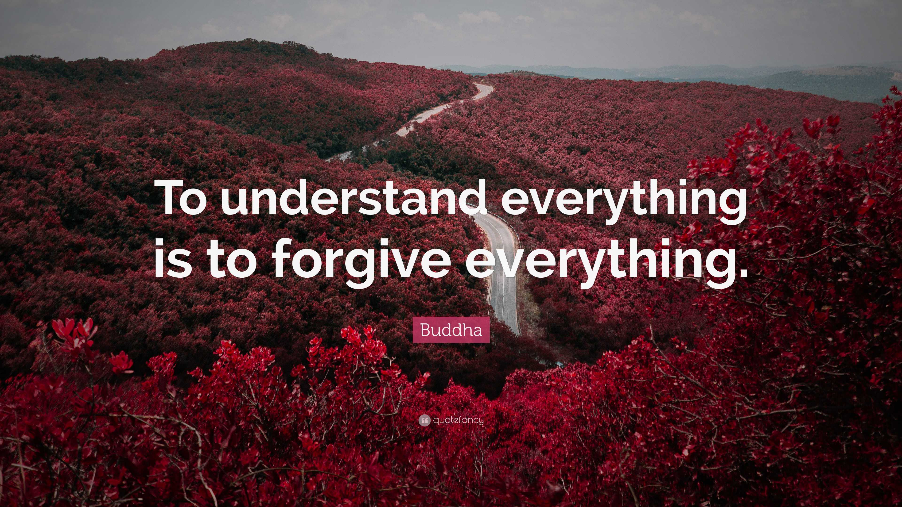 Buddha Quote: “To understand everything is to forgive everything.”