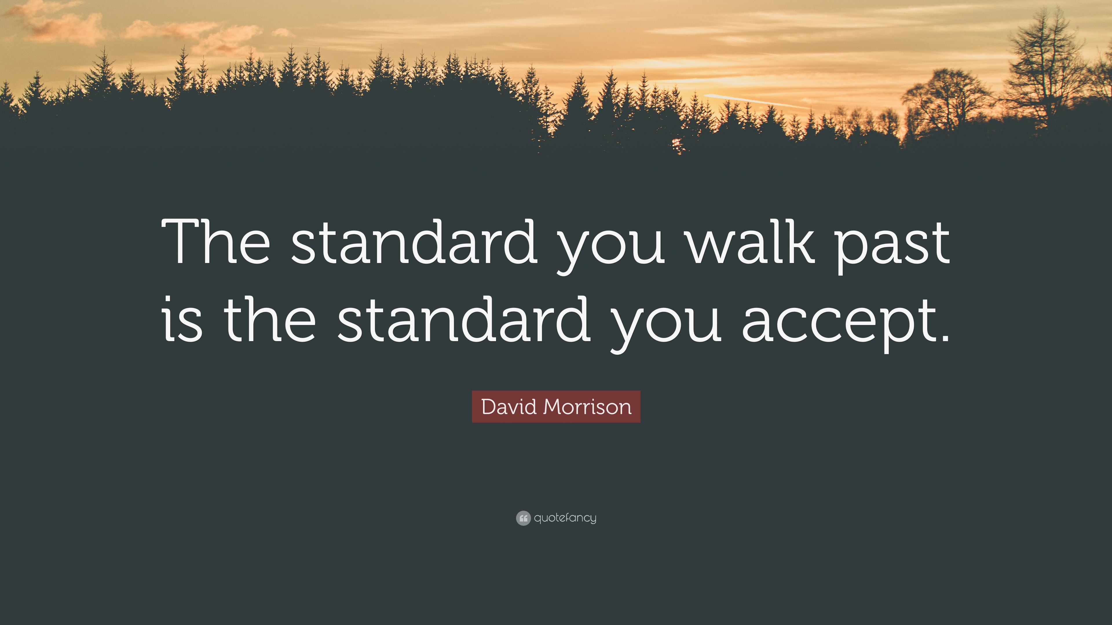 David Morrison Quote: “The standard you walk past is the standard you ...